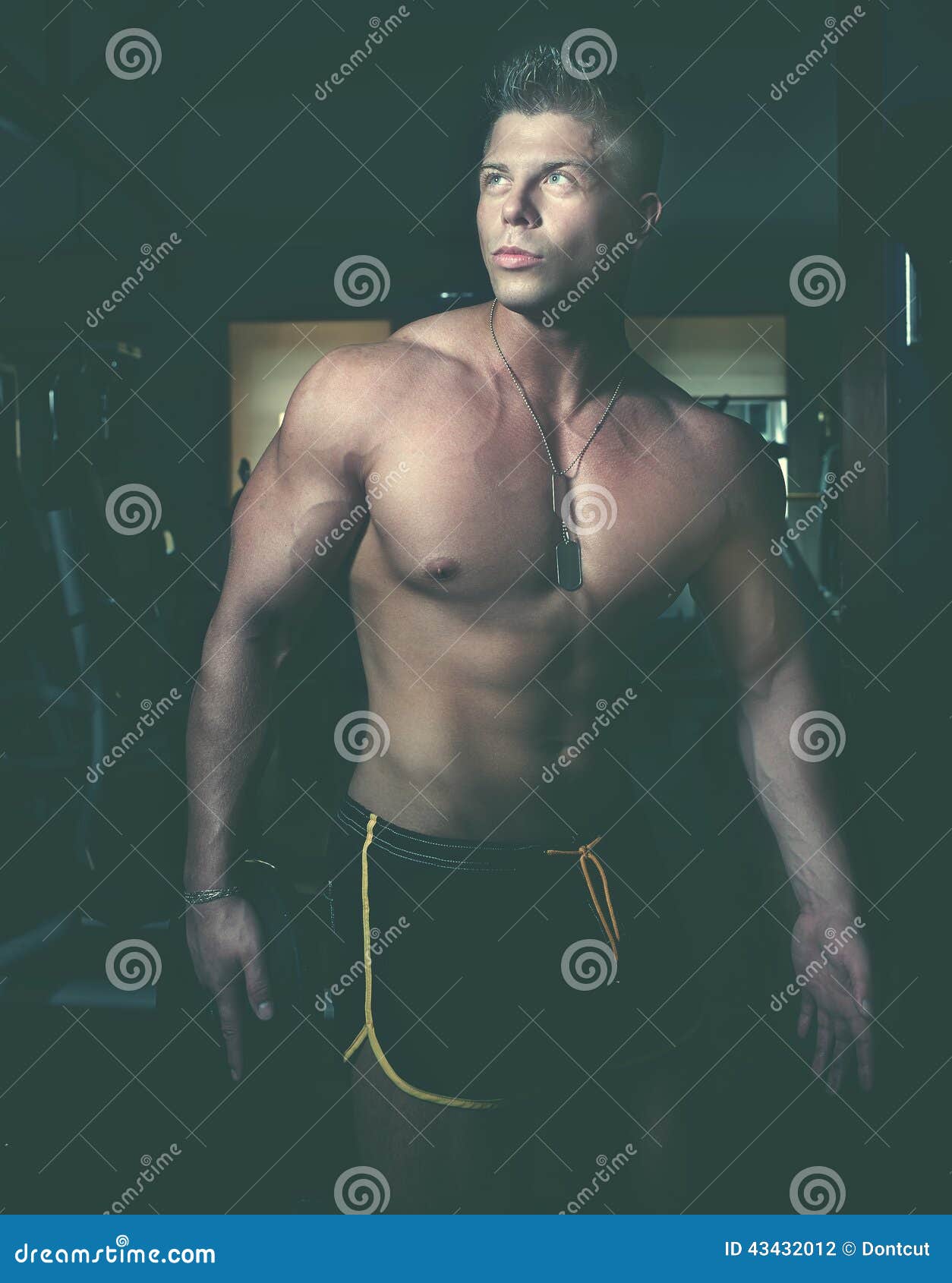Handsome guy. Bodybuilder stock photo. Image of human - 43432012