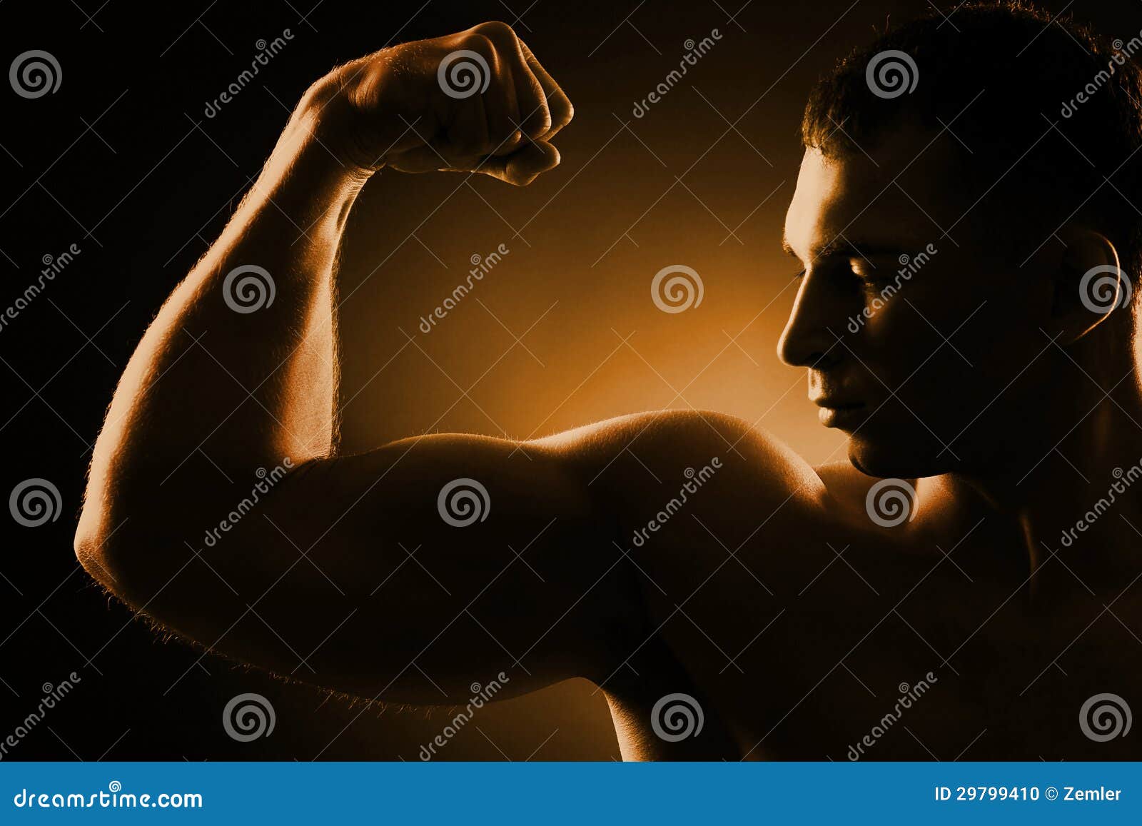 Strong arm stock photo. Image of perfect, back, bodybuilding - 29799410