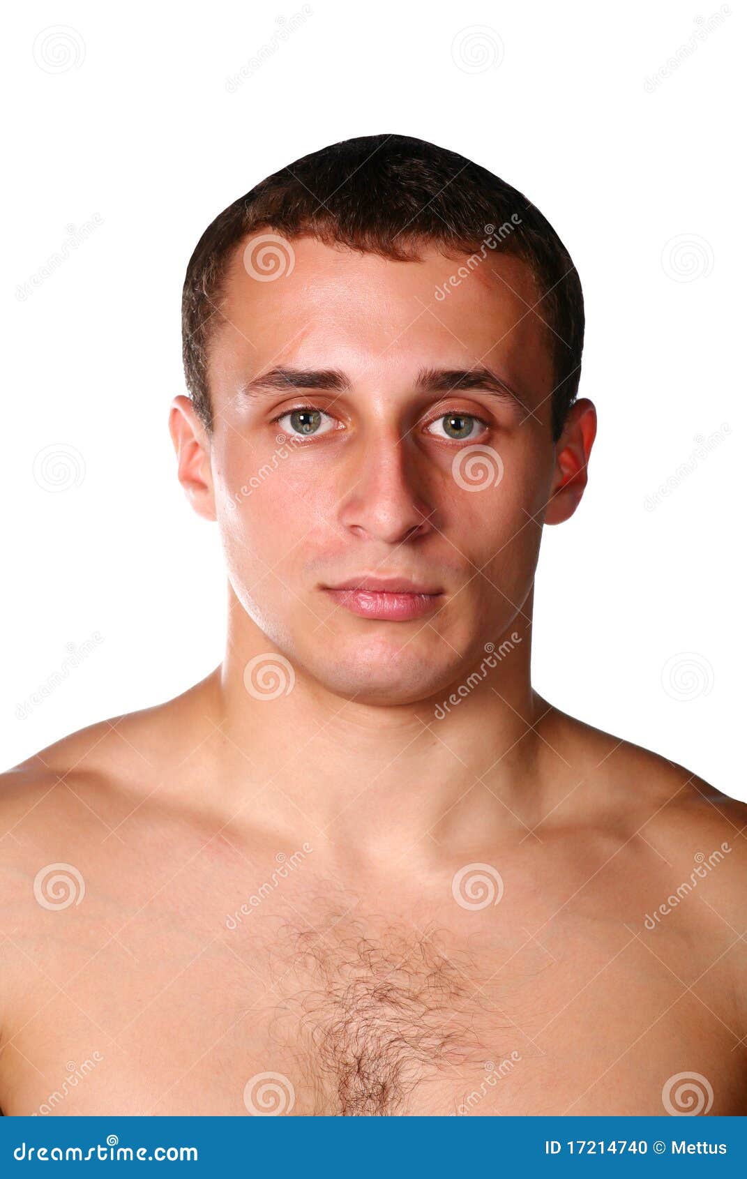 Handsome guy face stock photo. Image of portrait, muscle - 17214740