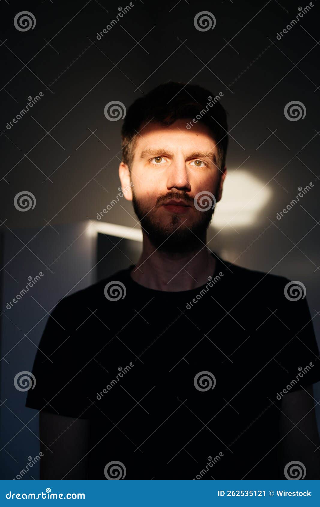 Handsome Guy Looking at the Camera with Sun Rays Falling on His Face ...
