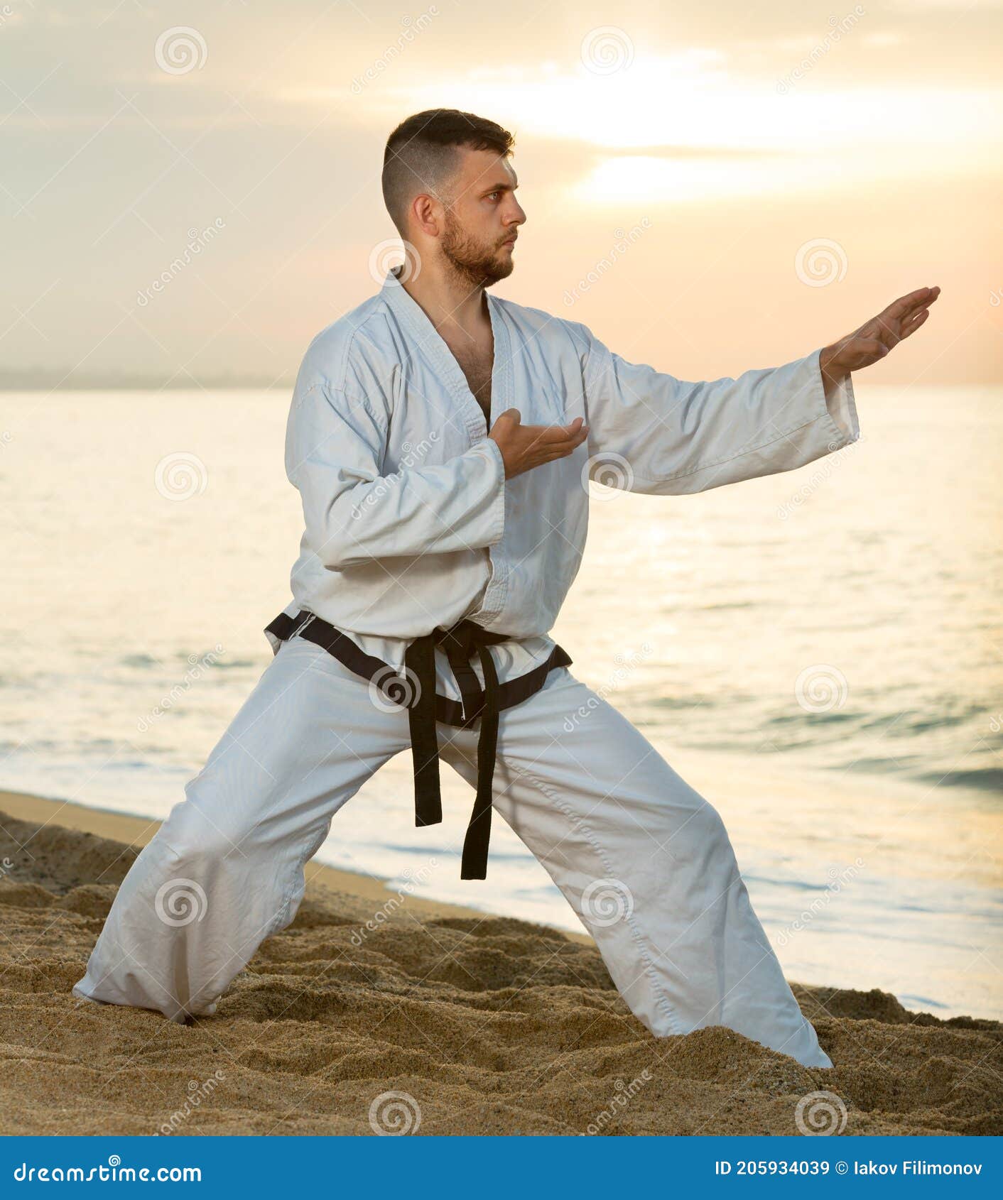 Handsome Guy Practising Karate Kata Poses Stock Image - Image of health ...
