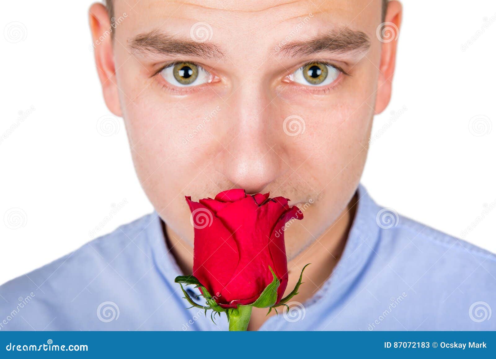 Handsome Guy Smelling Red Rose Stock Image - Image of apologize ...