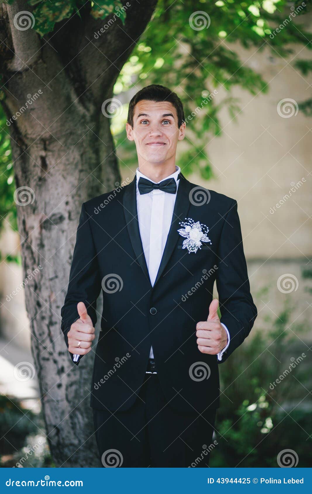 Handsome happy groom stock image. Image of fashion, happy - 43944425