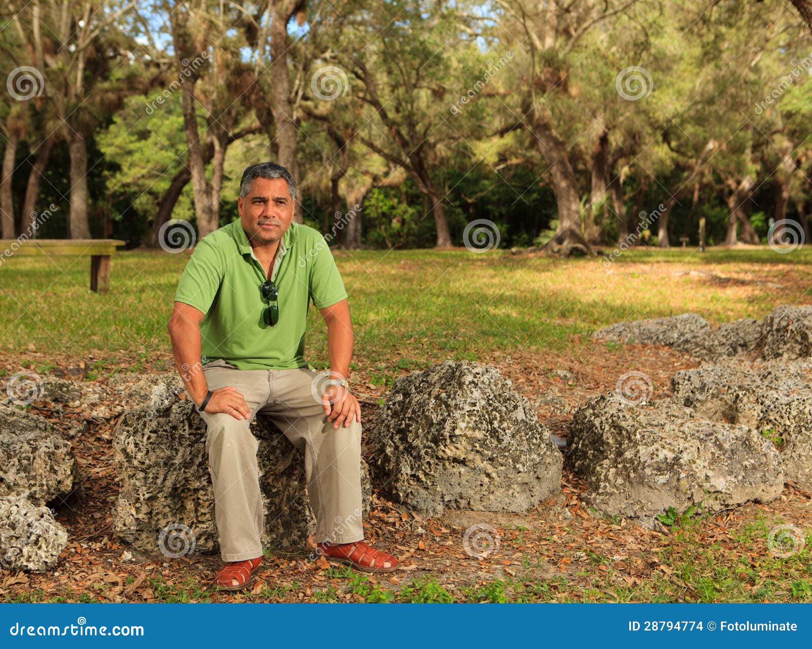 Handsome Hispanic man stock photo. Image of looking, green - 28794774