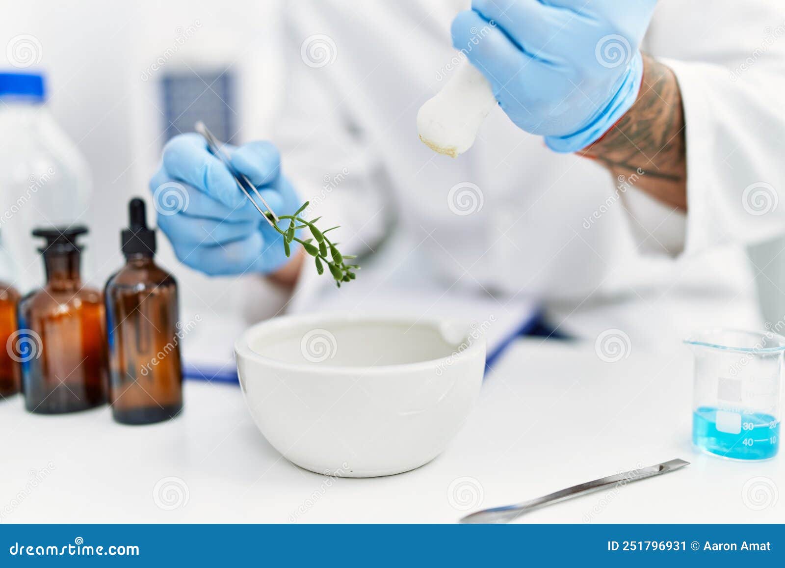 Handsome Hispanic Man Using Scientific Mortar at Laboratory Stock Image ...