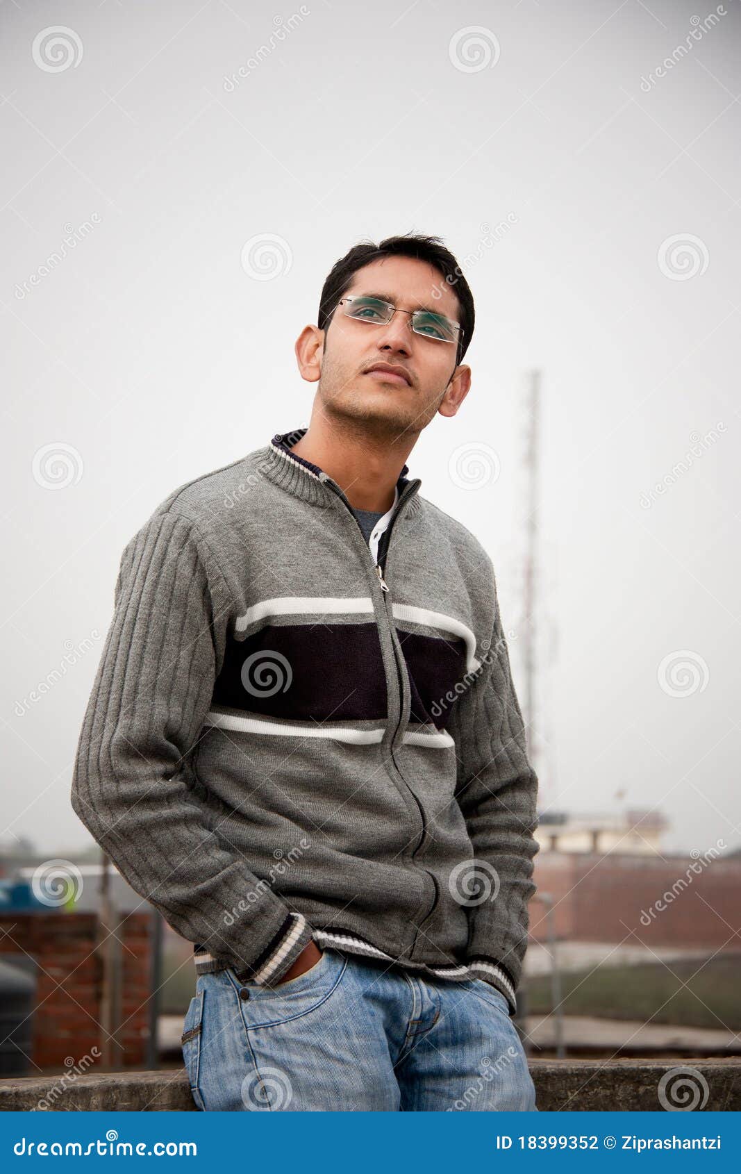 Handsome Indian man stock photo. Image of nice, mood - 18399352