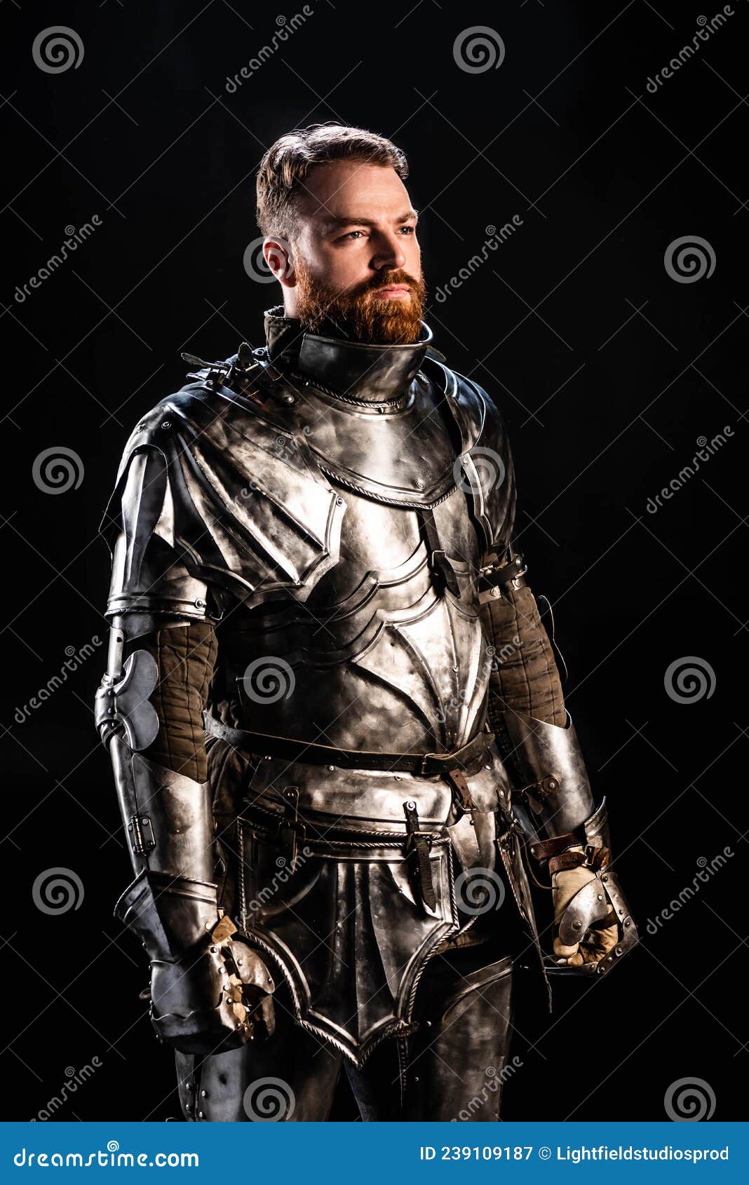 Handsome Knight in Armor Looking Away Stock Image - Image of caucasian ...