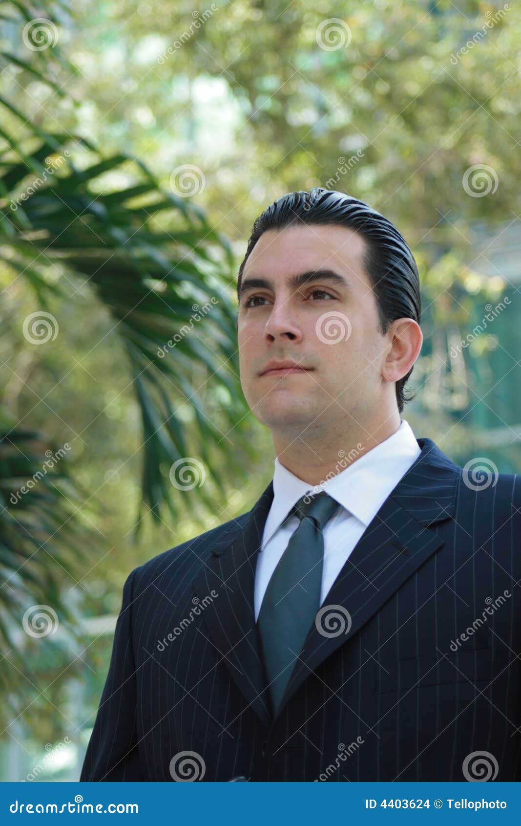 Handsome Latin Business Man Stock Photo - Image of good, cuban: 4403624