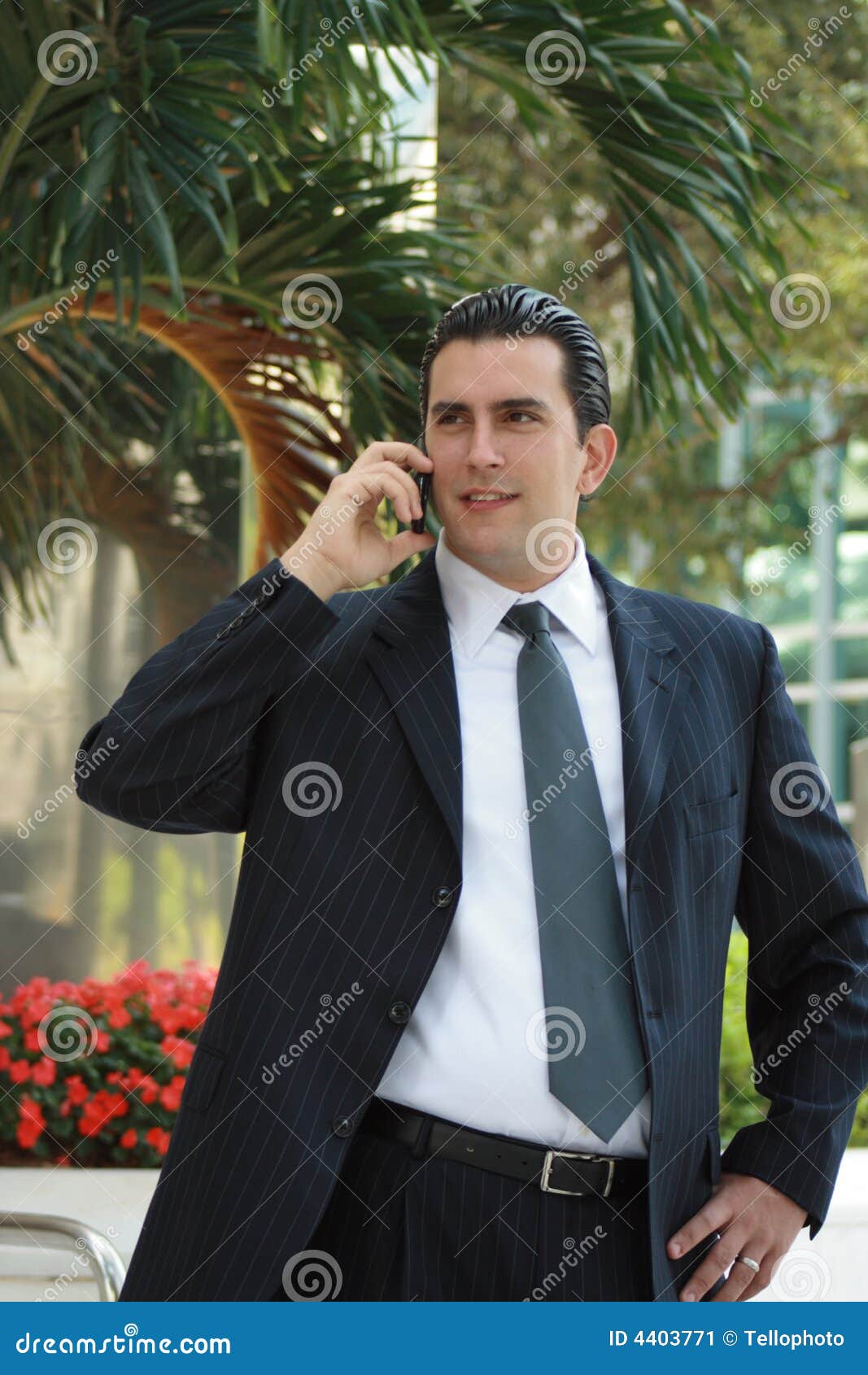 Handsome Latin Business Man Talking Stock Image - Image of hispanic ...