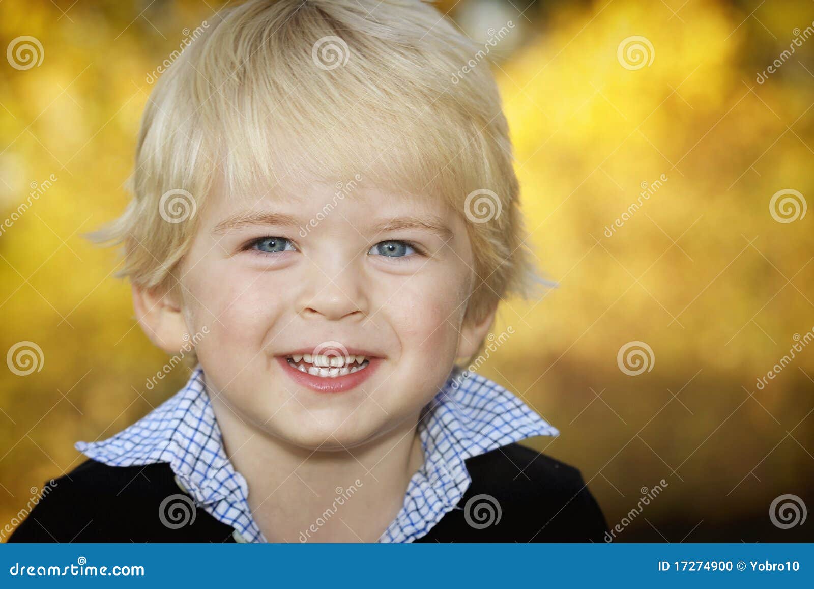 Handsome Little Blond Boy Portrait Stock Photo - Image of looking ...