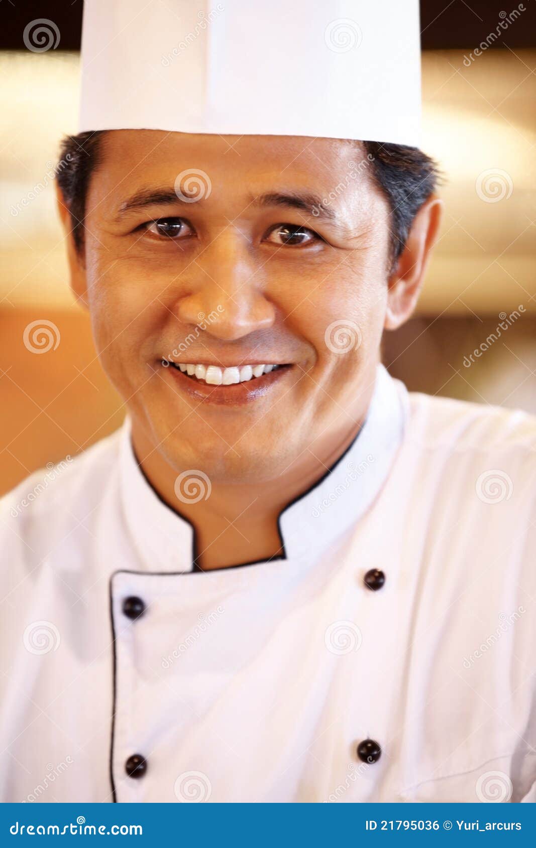 Handsome male chef stock photo. Image of lifestyle, folded - 21795036