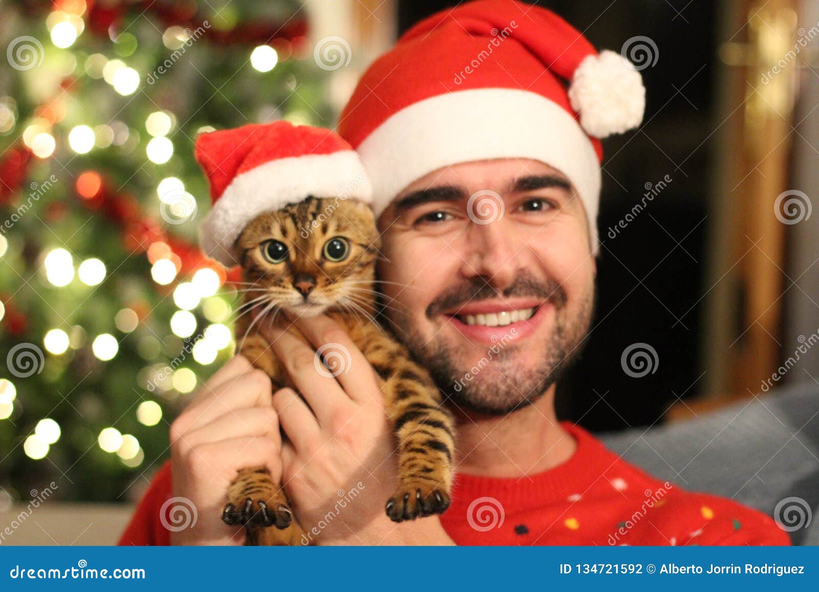 Handsome Male with His Cat during Christmas Stock Photo - Image of male ...