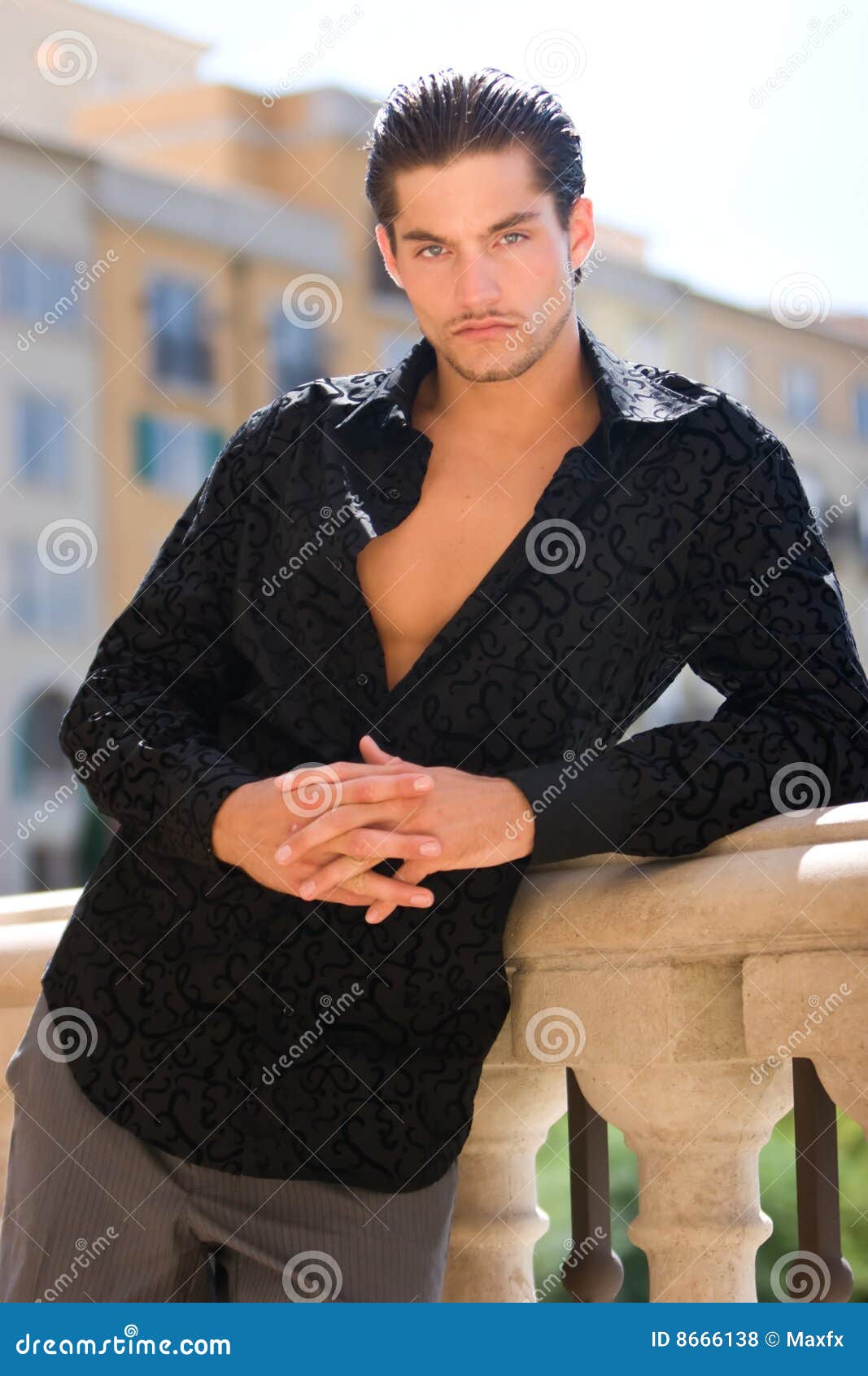 Handsome male model stock photo. Image of male, fashonable - 8666138
