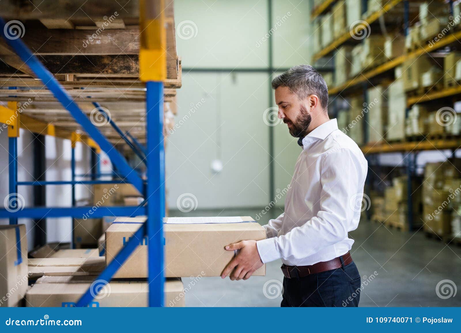 Male Warehouse Worker or Supervisor. Stock Image - Image of shelves ...