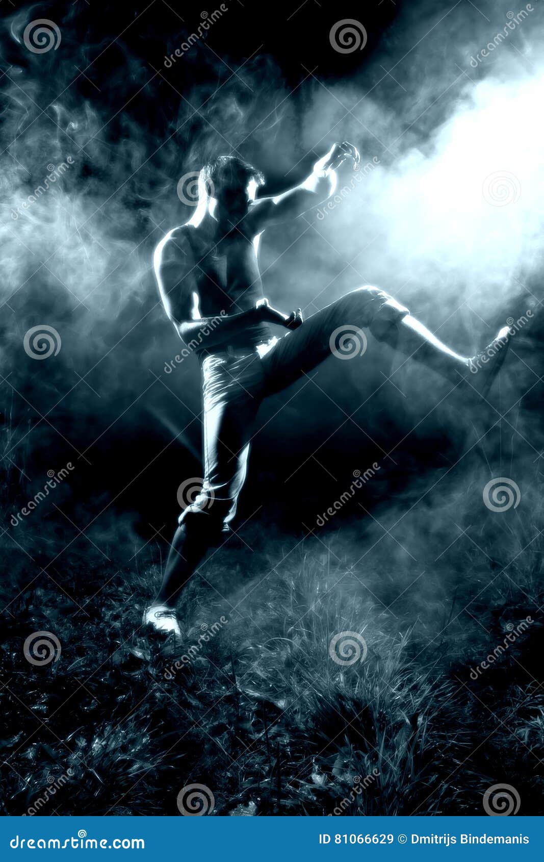 Handsome Man and Abstract Smoke Stock Image - Image of danger, mobster ...