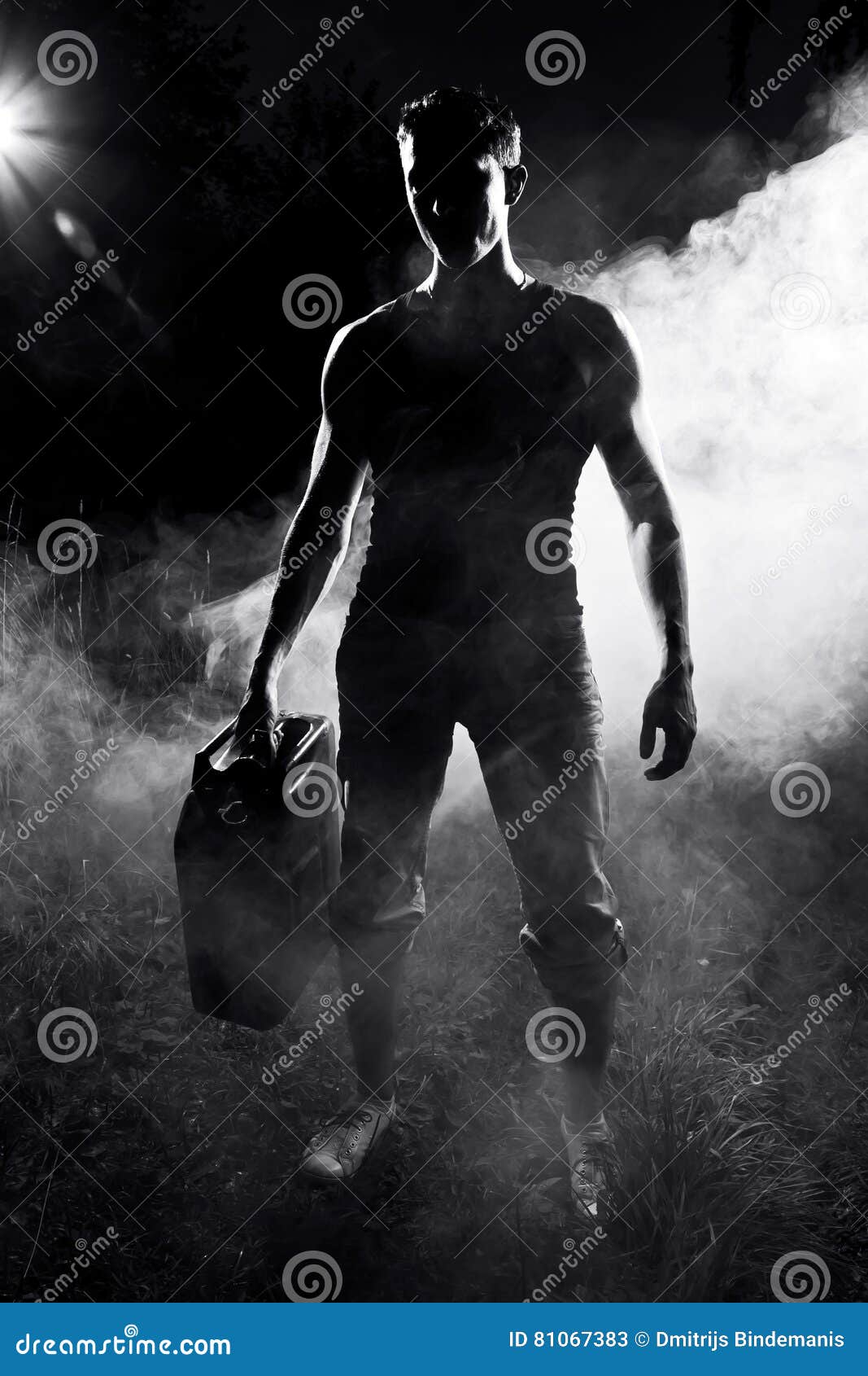 Handsome Man and Abstract Smoke Stock Image - Image of mystery, petrol ...