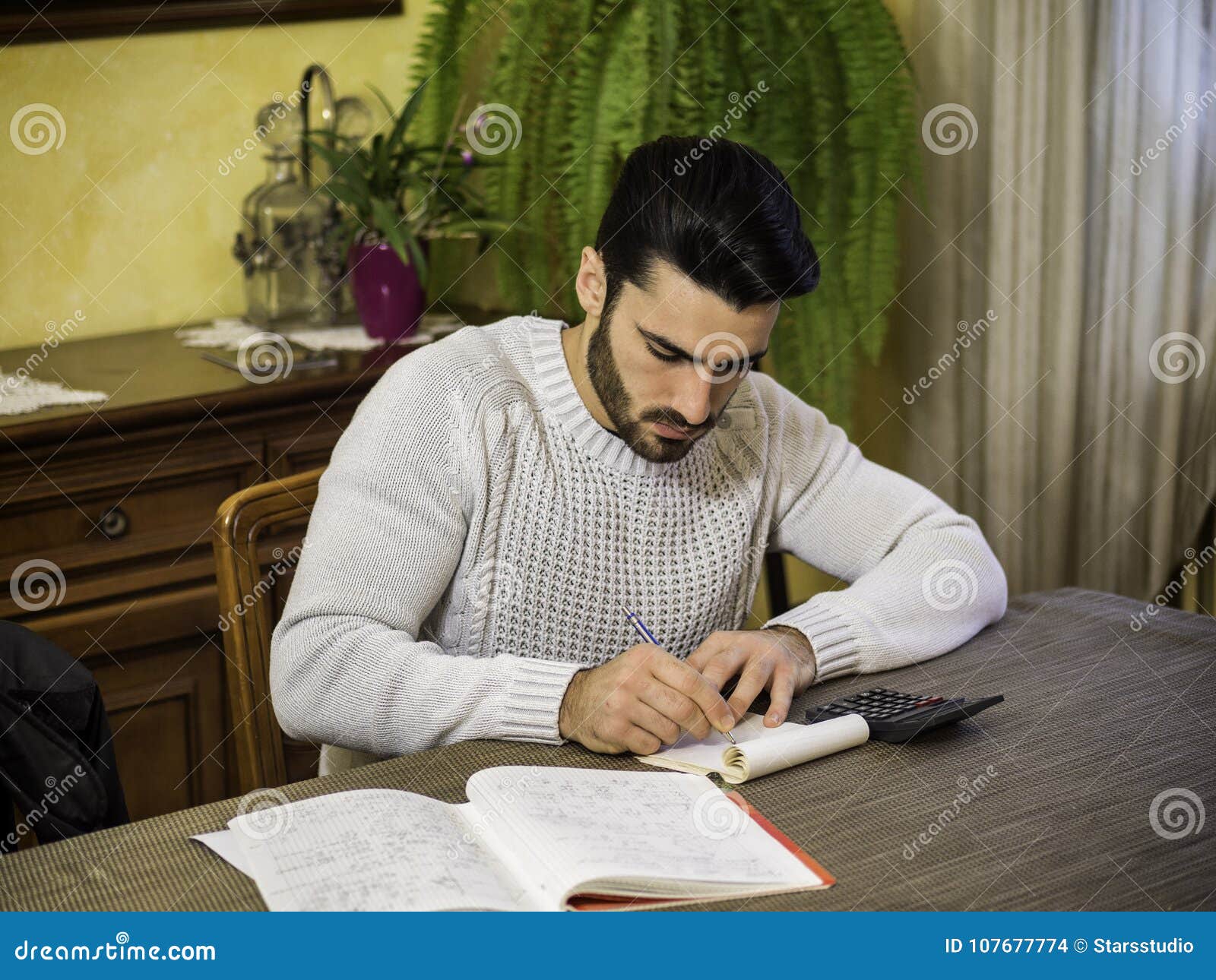 Handsome Man Accounting at Table Stock Photo - Image of financial, male ...
