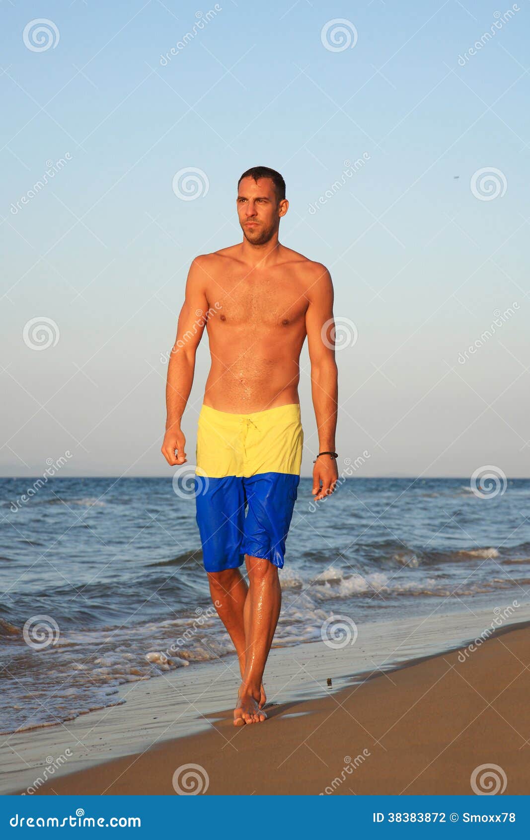 Handsome man at the beach stock photo. Image of travel - 38383872