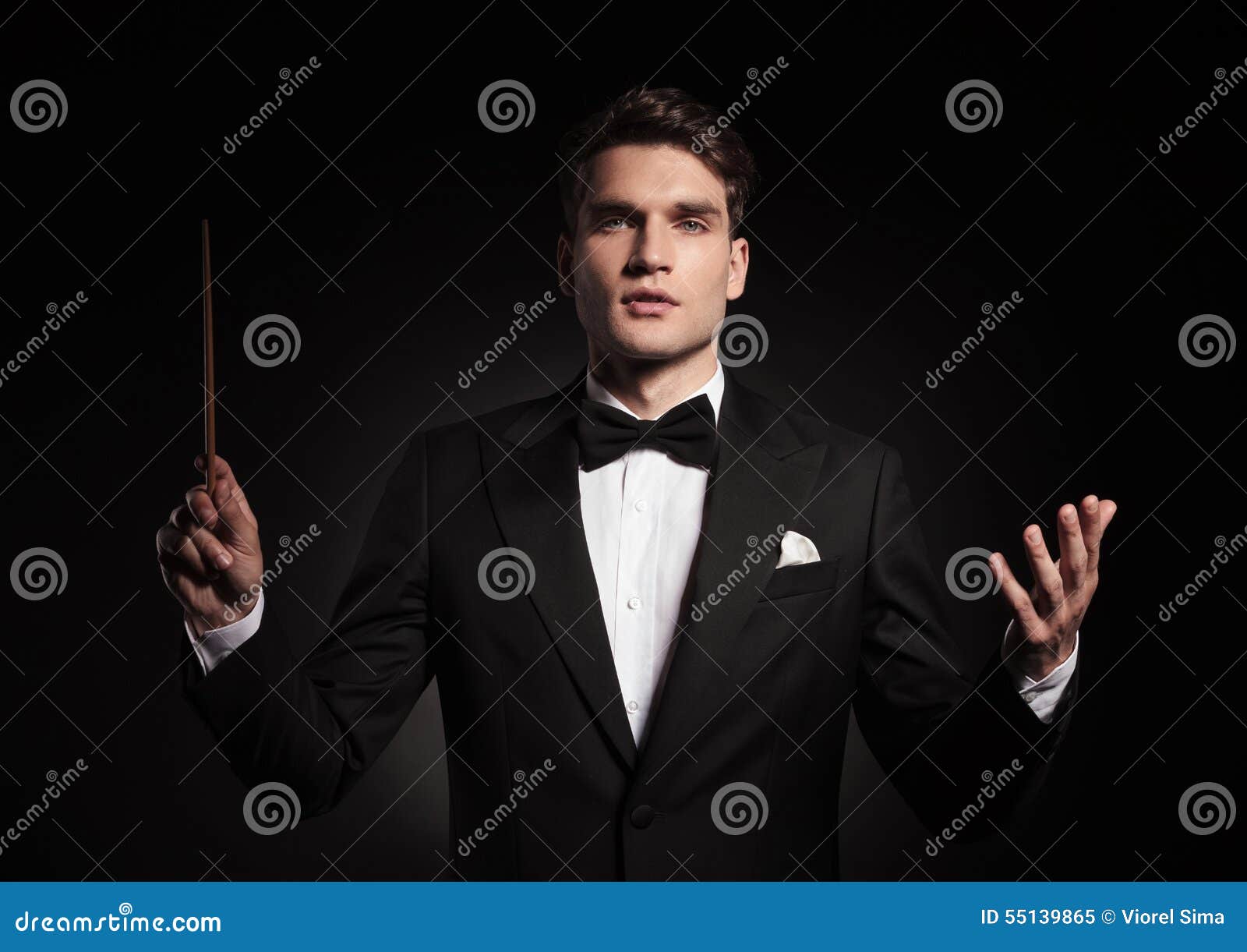 Handsome Man Conducting an Orchestra. Stock Image - Image of creative ...