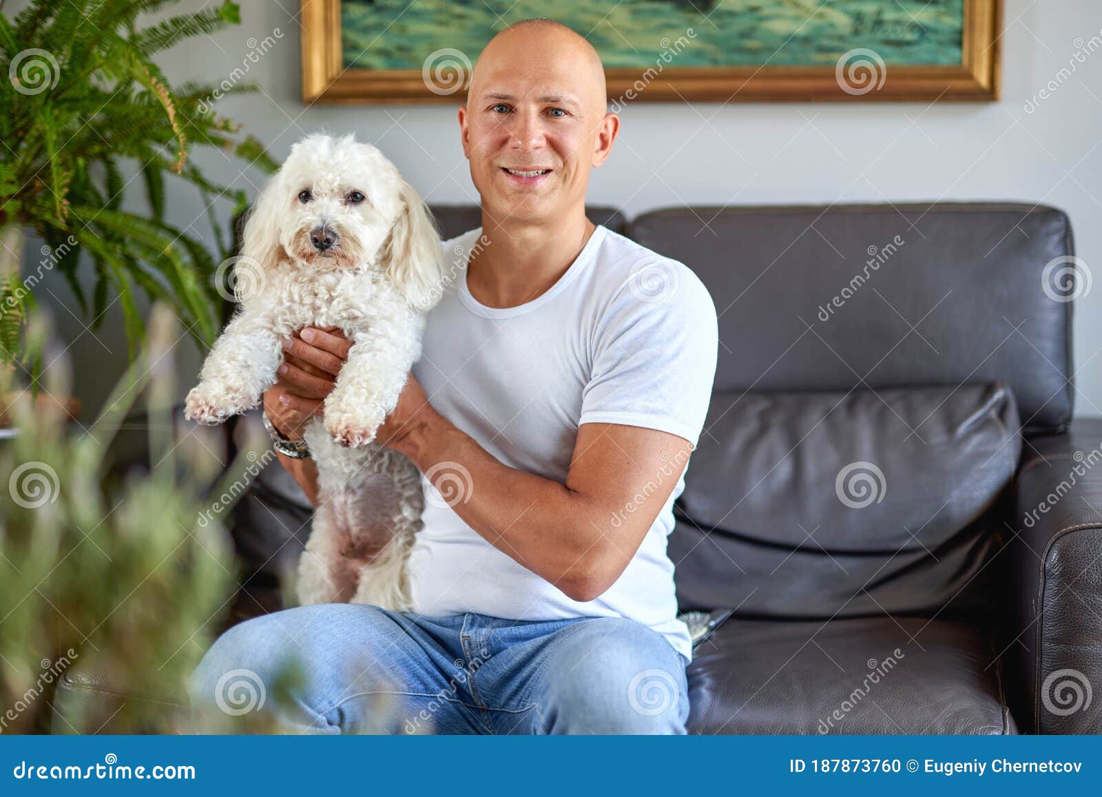 Handsome Man with Cute Dog at Home Stock Photo - Image of pedigree ...