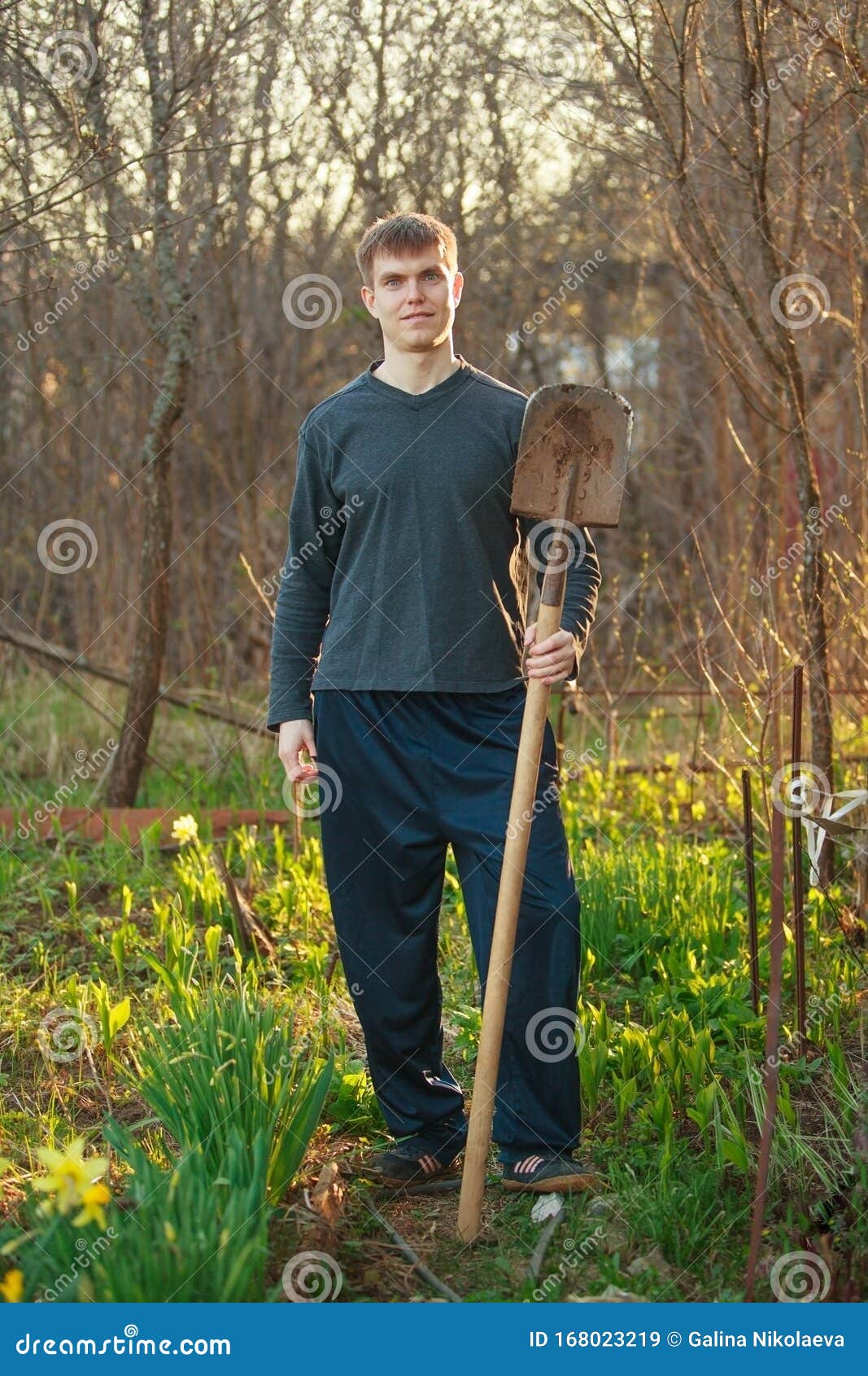 Handsome man digging stock image. Image of plant, manual - 168023219