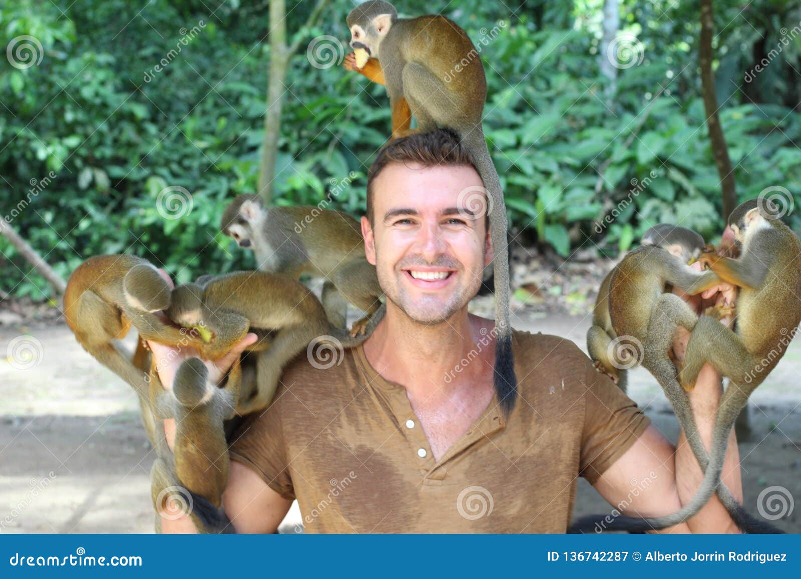 Handsome Man Feeding the Monkeys Stock Image - Image of forest ...