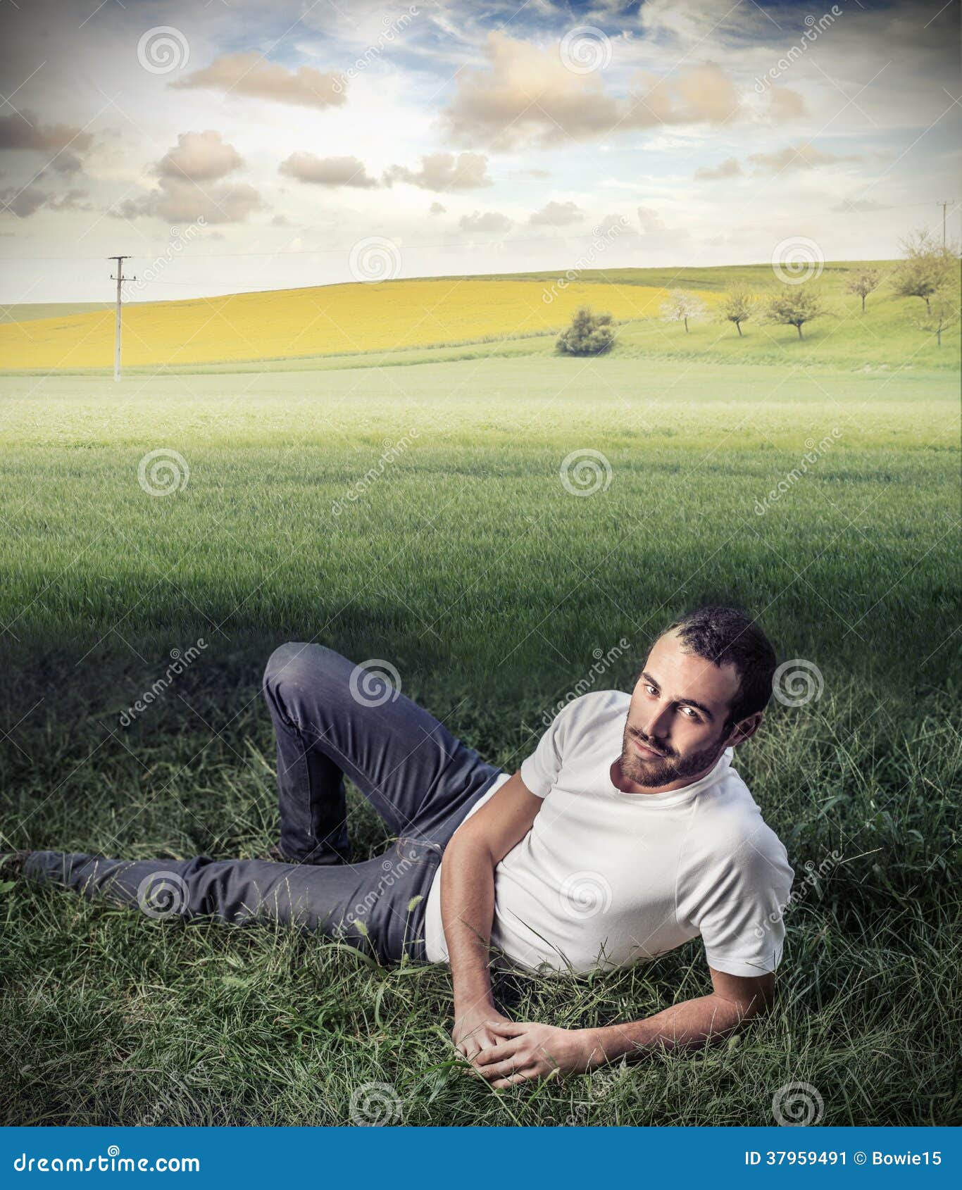 Handsome man in the fields stock image. Image of smile - 37959491