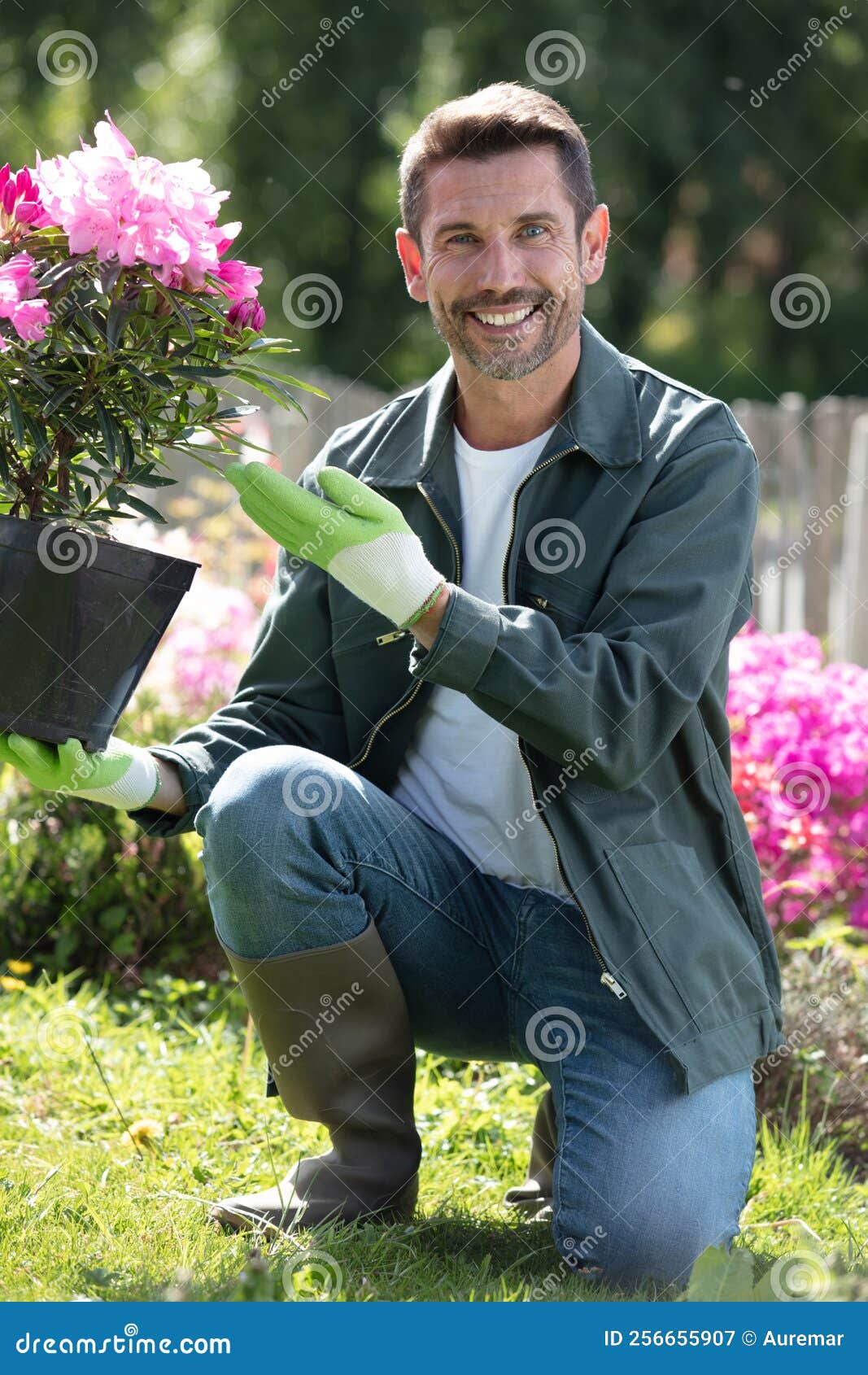 Handsome Man Gardener Landscaping Stock Image - Image of shrub, blades ...
