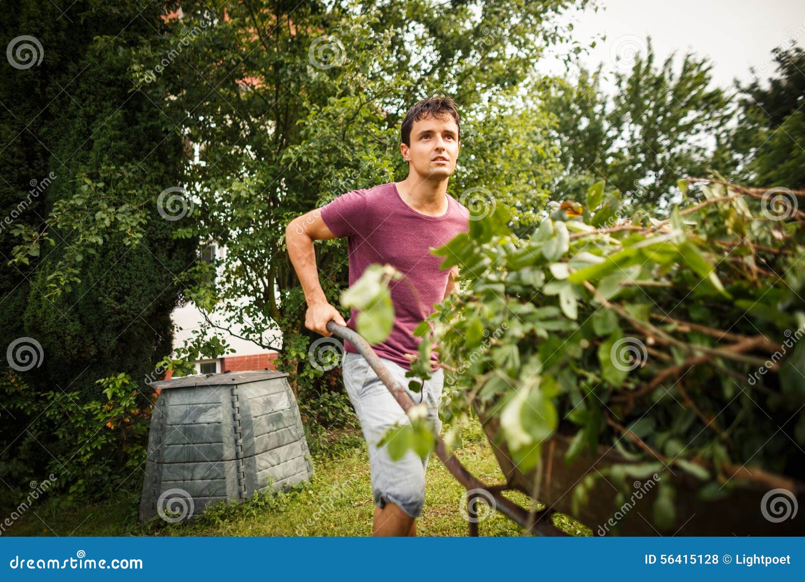 Handsome Man Gardening in His Garden Stock Photo - Image of looking ...