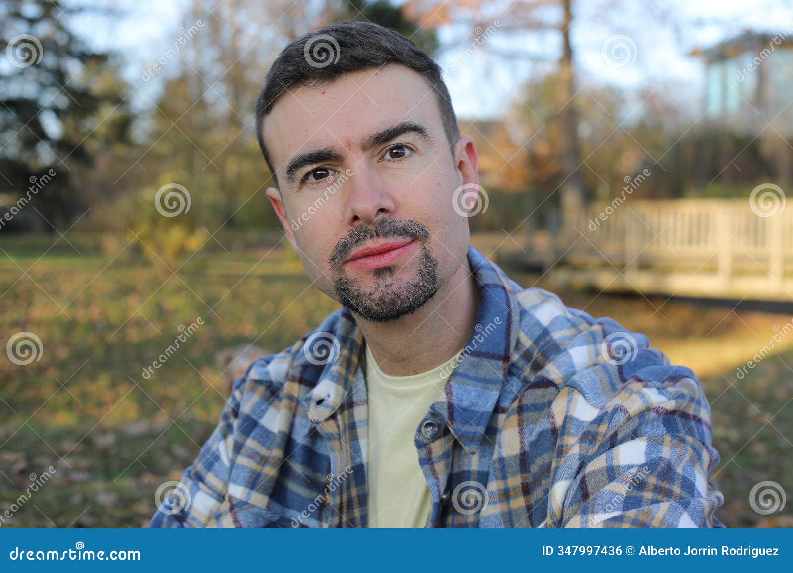Handsome man with a goatee stock photo. Image of style - 347997436