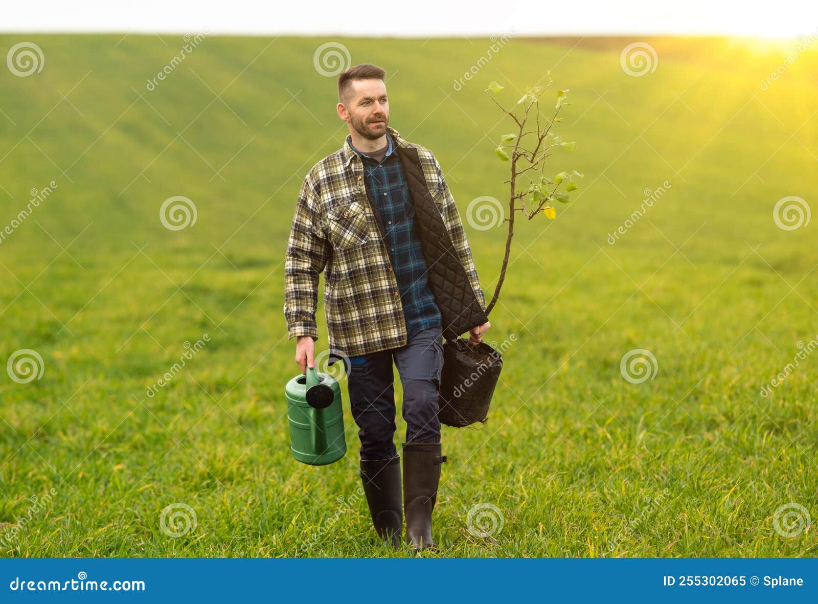 The Handsome Man is Going To Plant a Tree in the Field. Stock Image ...