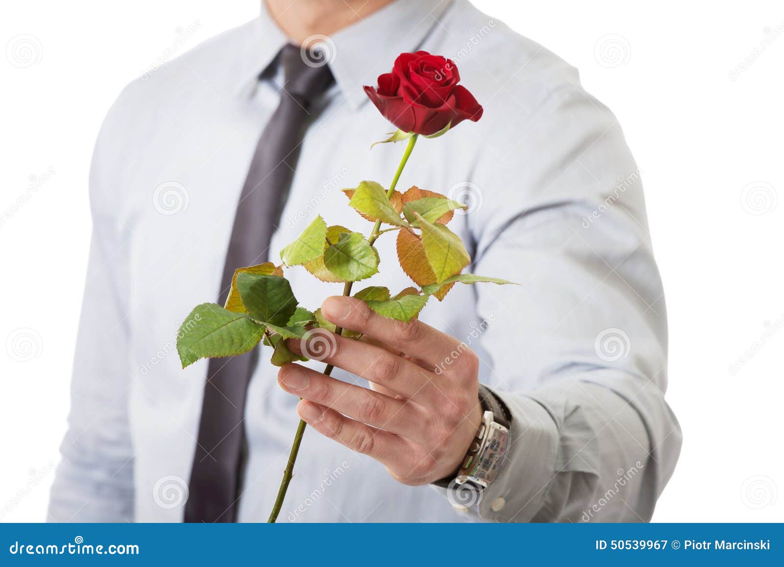 Handsome Man Holding Red Rose. Stock Image - Image of celebration ...