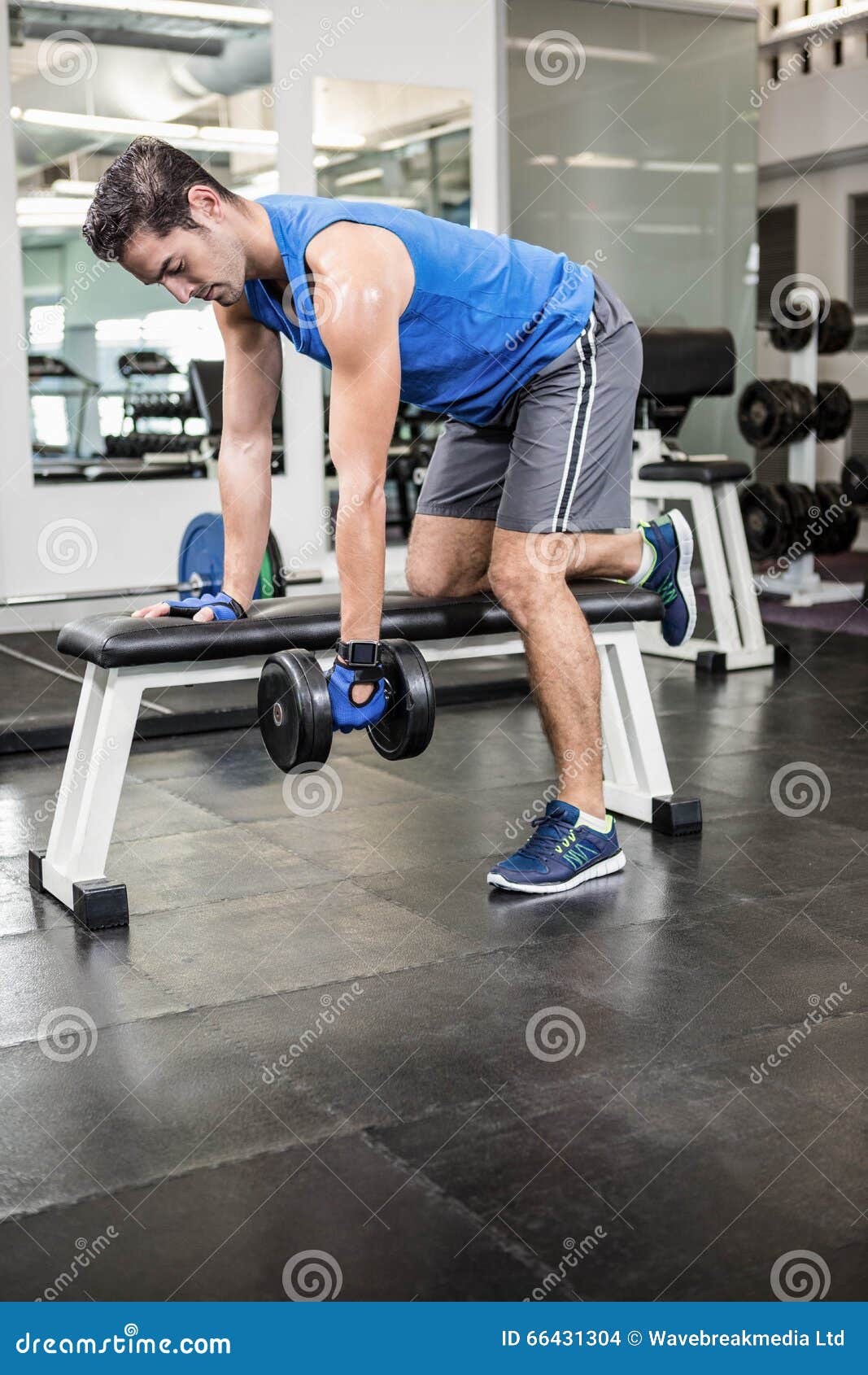 Handsome Man Lifting Dumbbells on Bench Stock Photo - Image of handsome ...