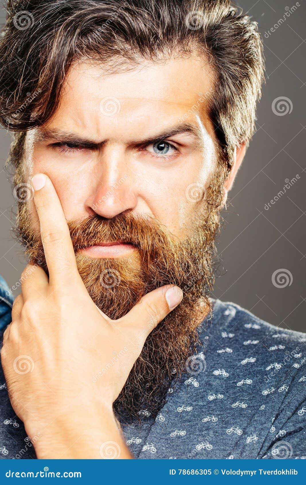 Handsome Man with Long Beard Stock Image - Image of moustache, hipster ...