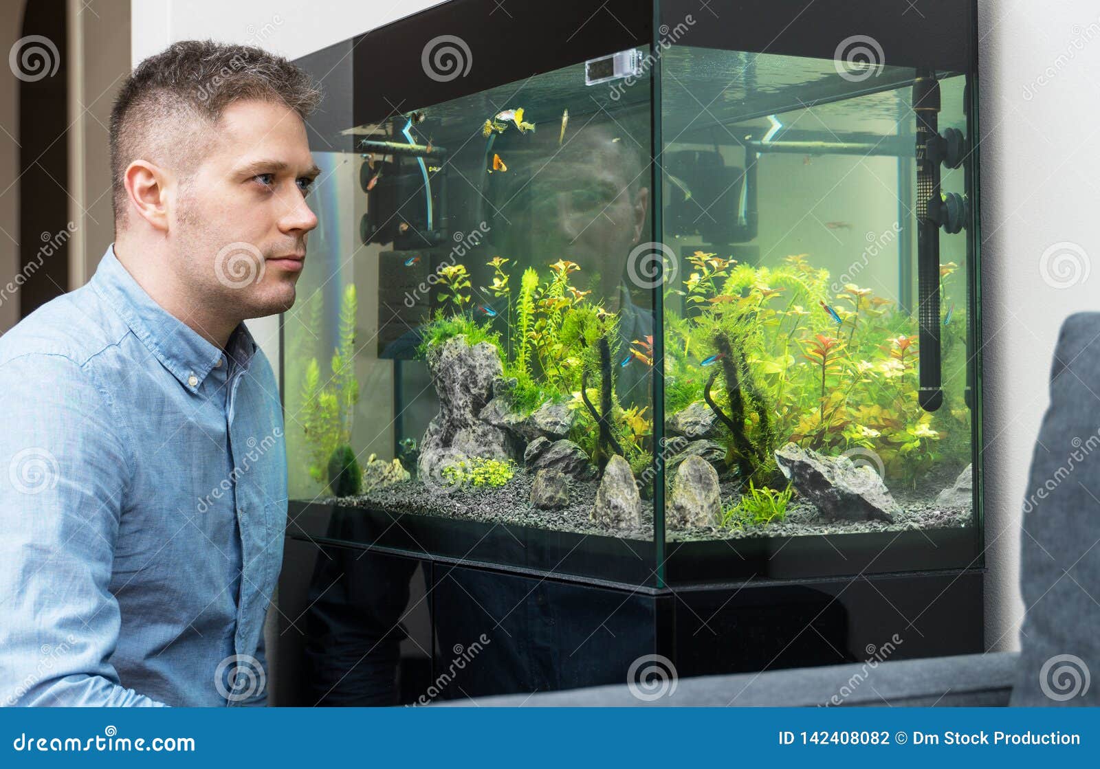 Handsome Man Looks at the Fish Stock Photo - Image of decorative ...