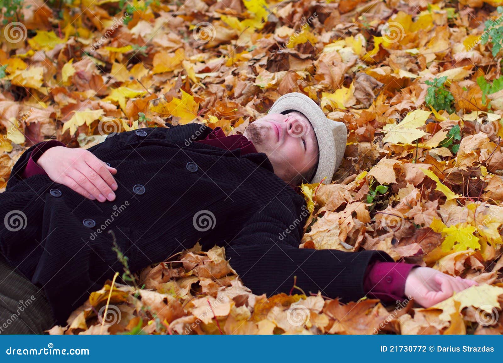Handsome Man Lying in Autumn Leaves Stock Photo - Image of nature ...