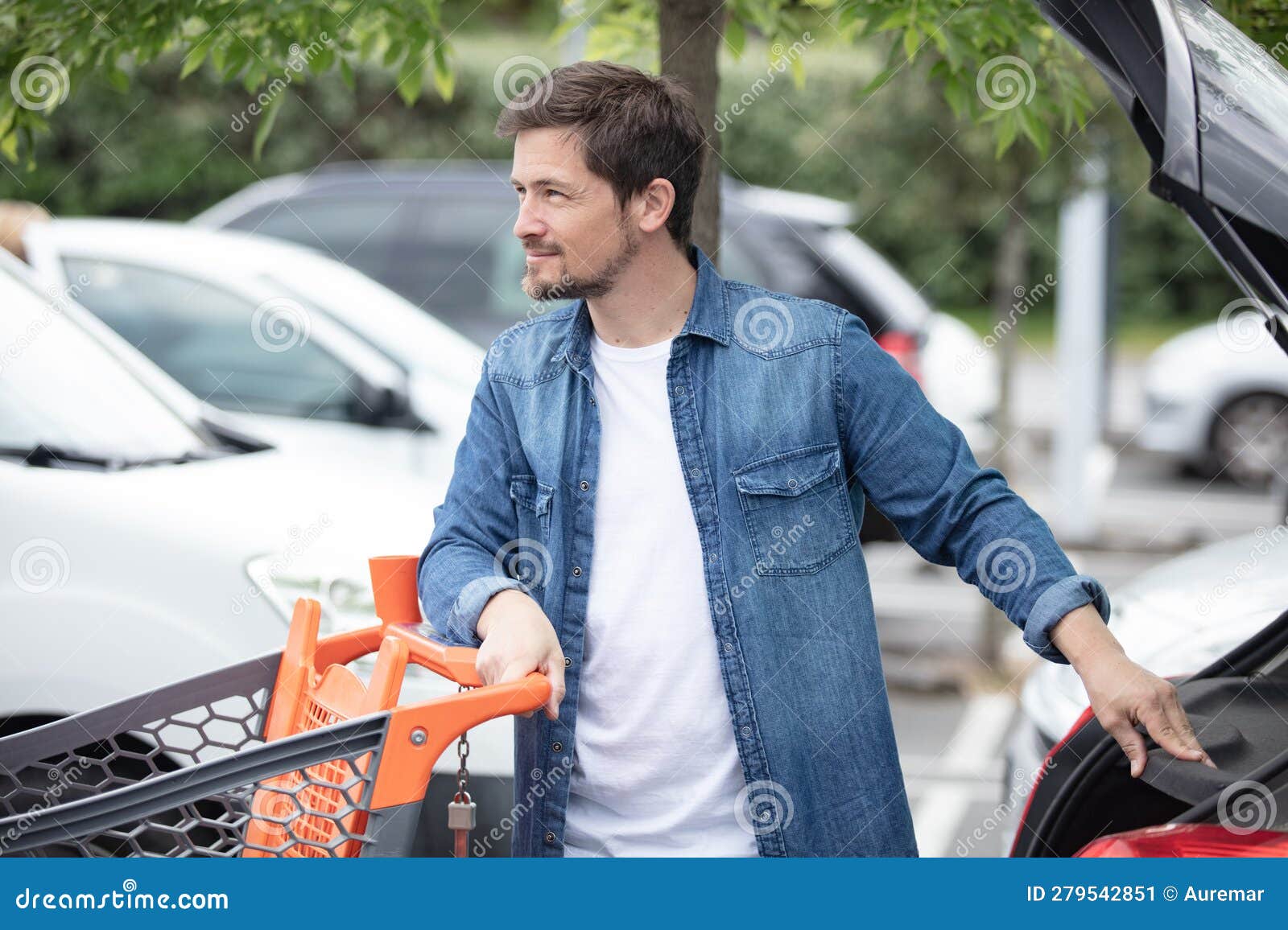 Handsome Man Packing Groceries into Car Trunk Stock Image - Image of ...