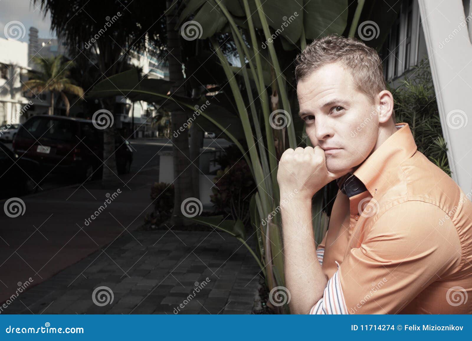 Handsome man pondering stock photo. Image of handsome - 11714274