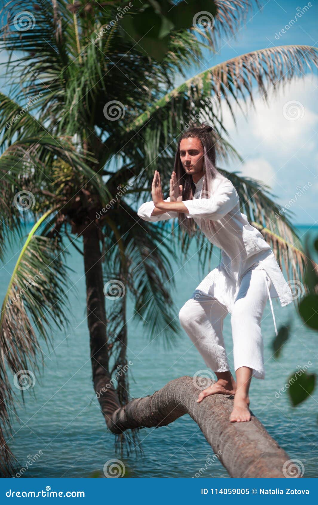 Handsome Man is Practicing Qigong on a Palm Tree Stock Image - Image of ...