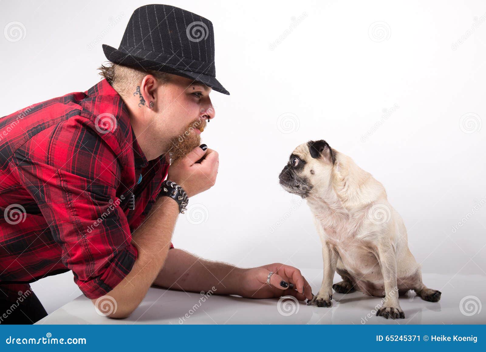 Handsome man with pug dog stock image. Image of love - 65245371