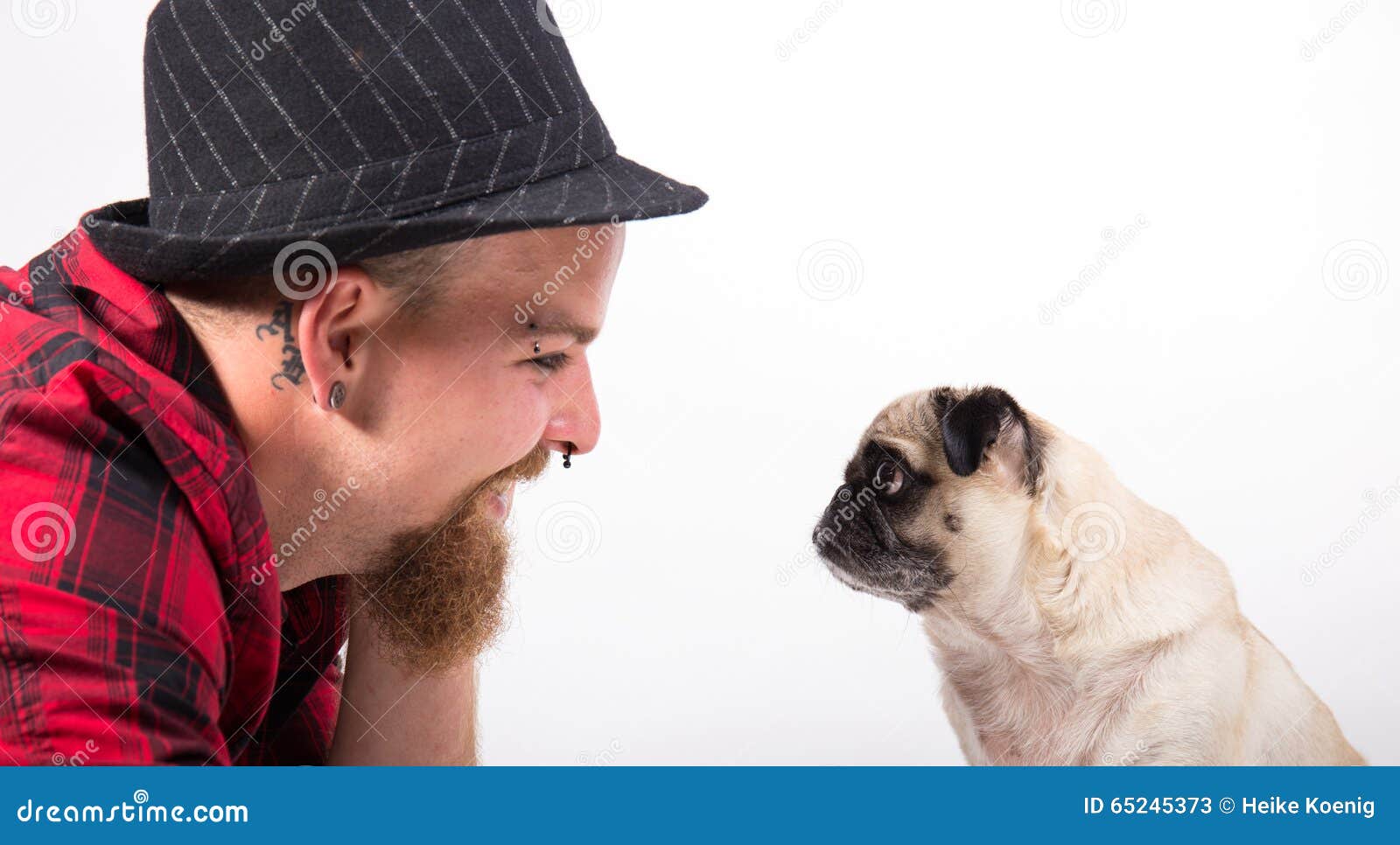 Handsome man with pug dog stock image. Image of breed - 65245373