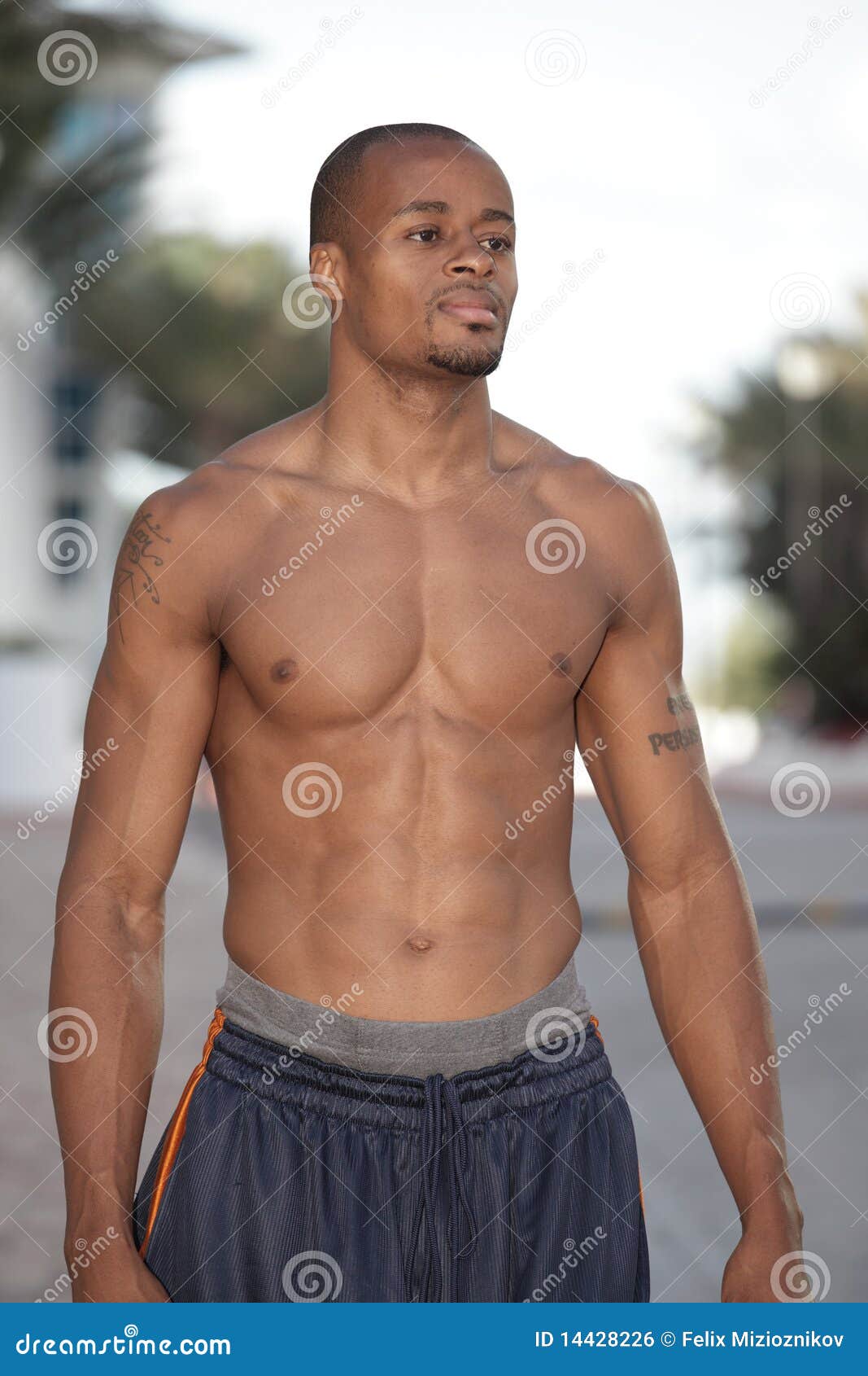 Handsome Man without a Shirt Stock Photo - Image of composition, bald ...