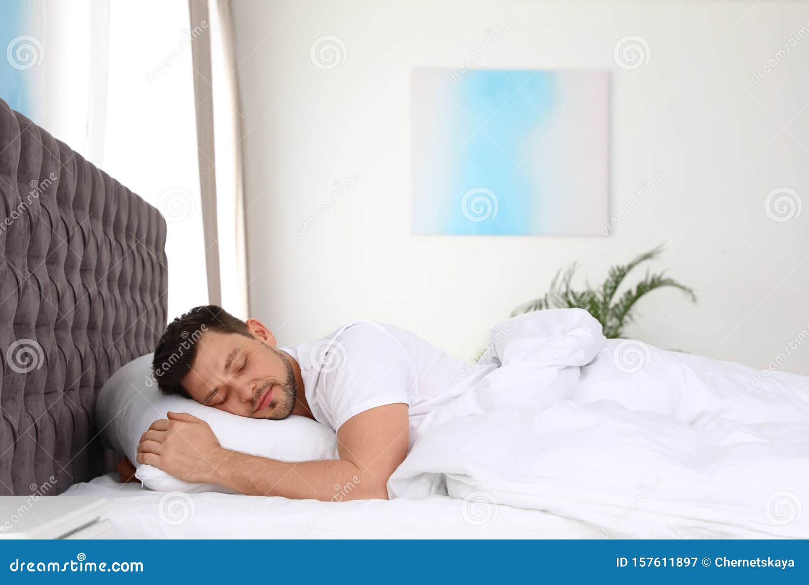 Handsome Man Sleeping on Pillow at Home Stock Image - Image of morning ...
