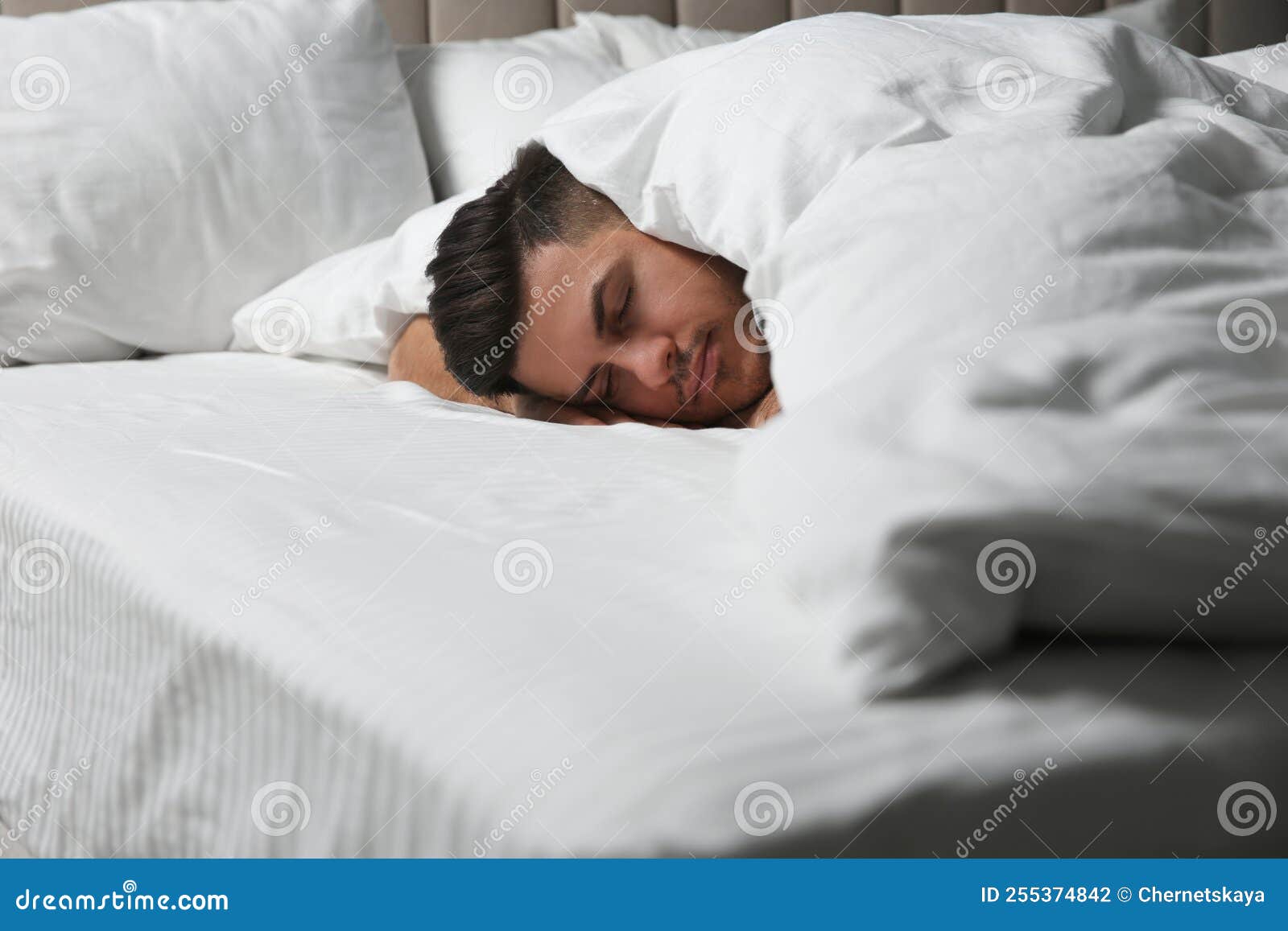 Handsome Man Sleeping Under Soft Blanket in Bed at Home Stock Photo ...