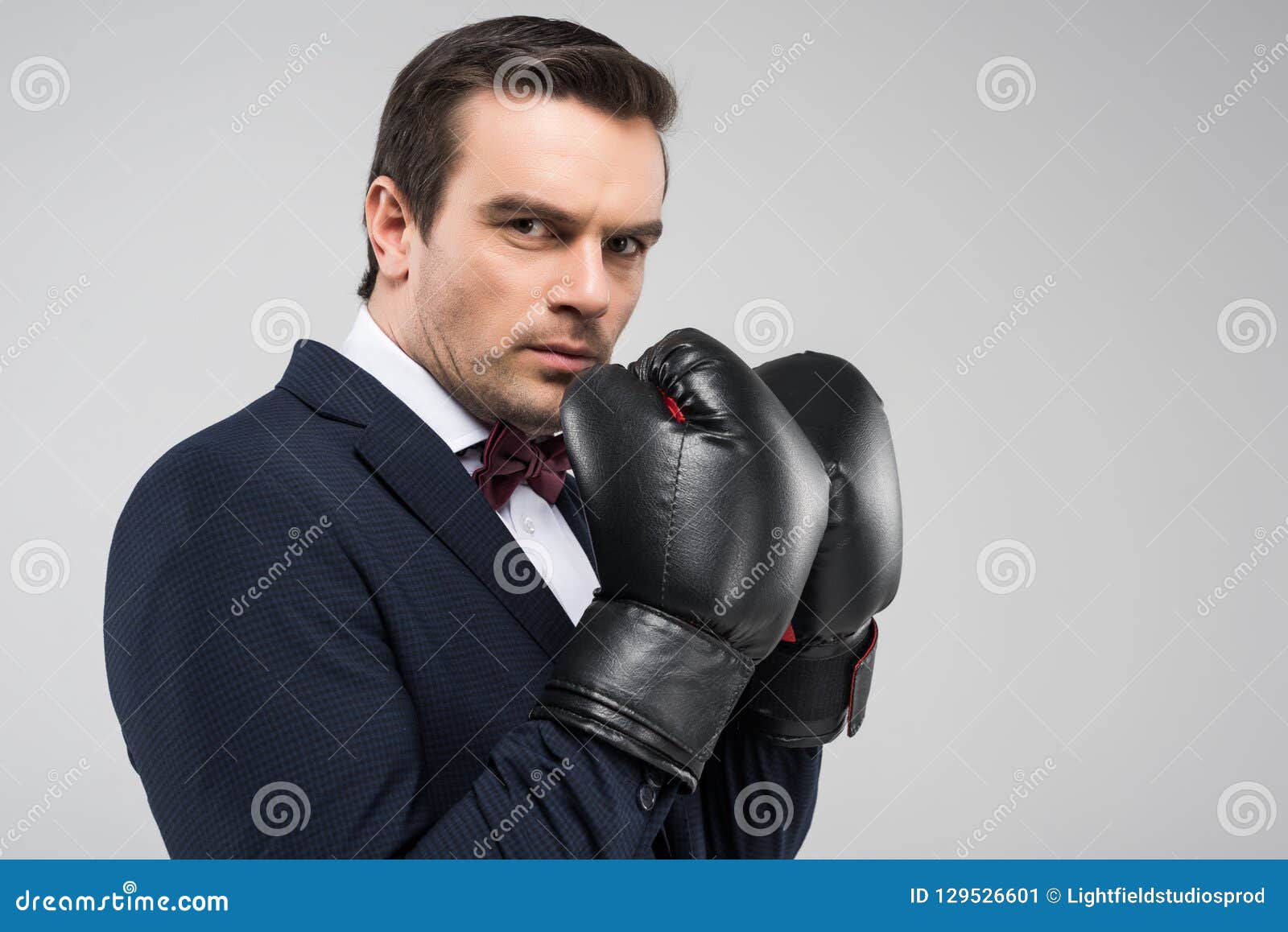 Handsome Man in Suit and Boxing Gloves Stock Image - Image of caucasian ...