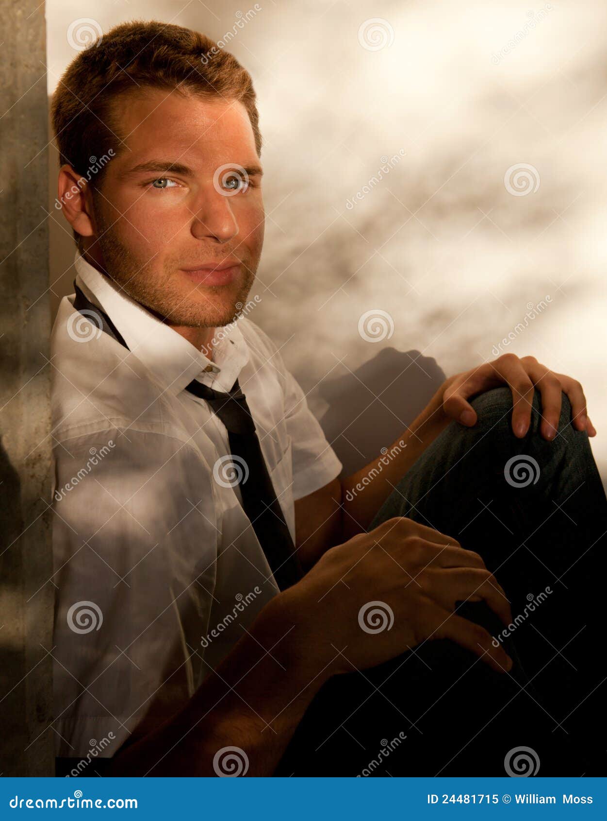 Handsome Man in Sunlight stock image. Image of lean, warmth - 24481715