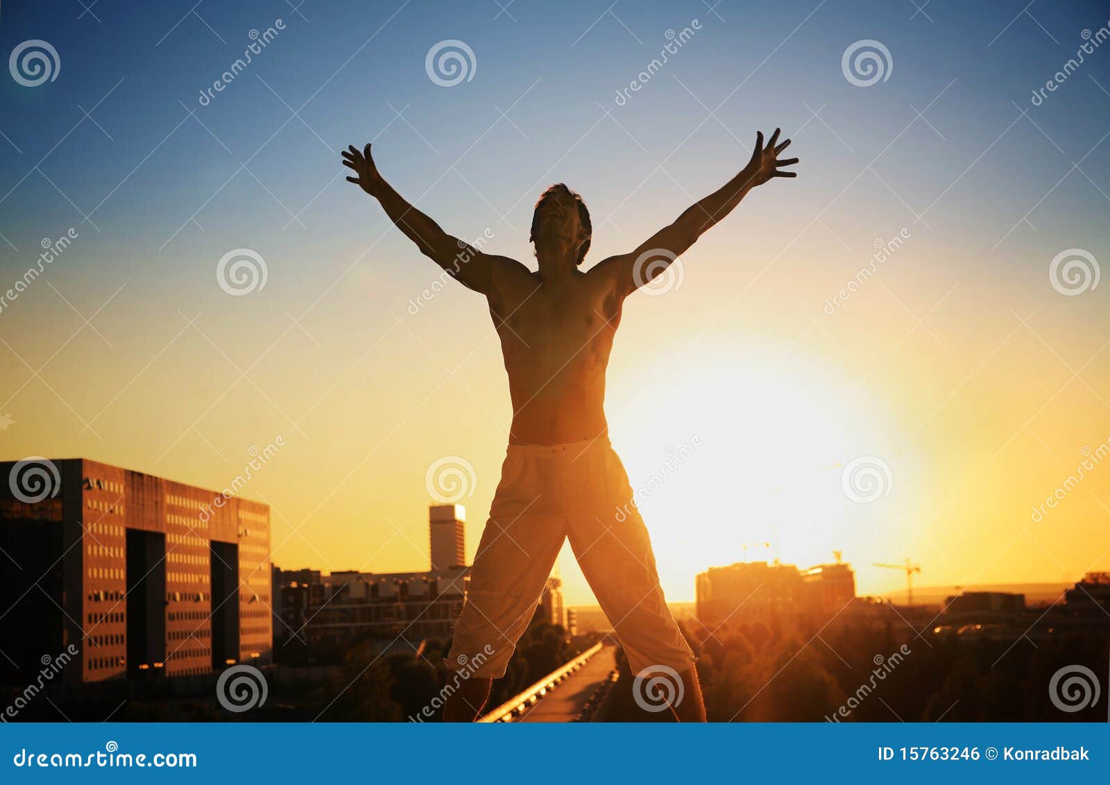 Handsome Man on Top of Skyscraper Stock Photo - Image of adult, gallery ...