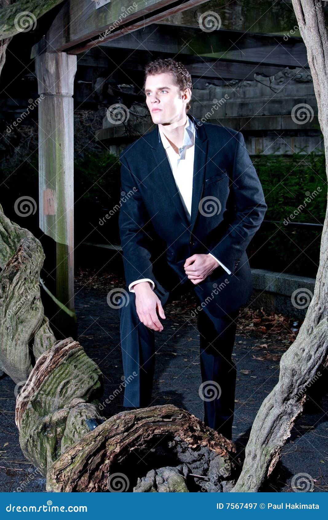 Handsome man with tree stock image. Image of winter, stands - 7567497