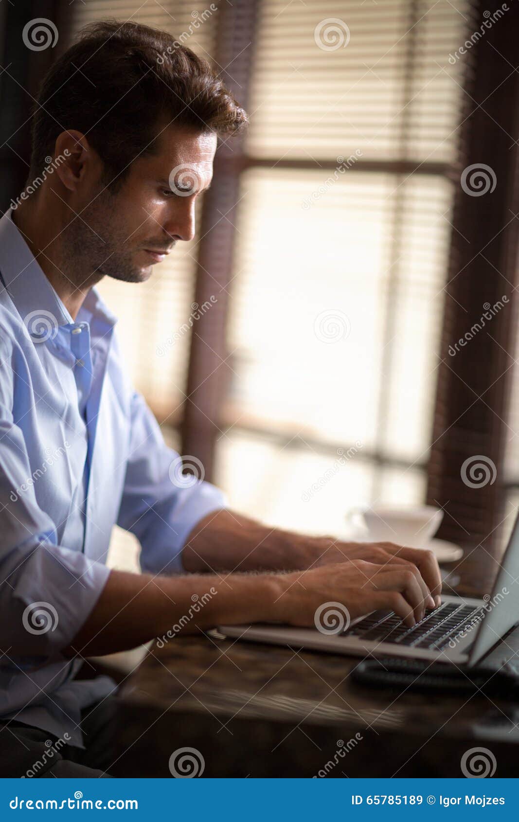 Handsome Man Typing on Laptop Stock Image - Image of look, hobby: 65785189