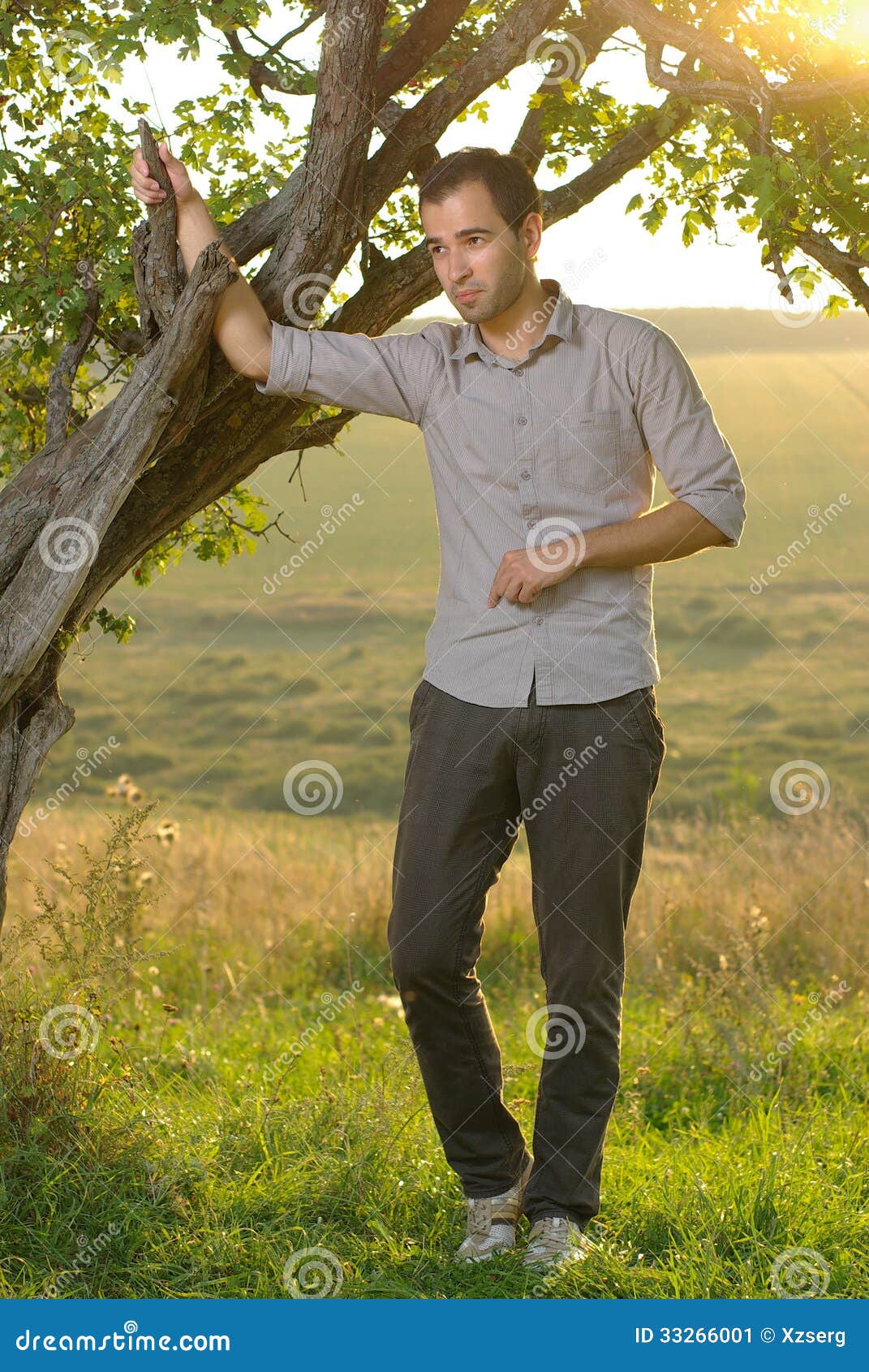 Handsome man under tree stock image. Image of male, portrait - 33266001